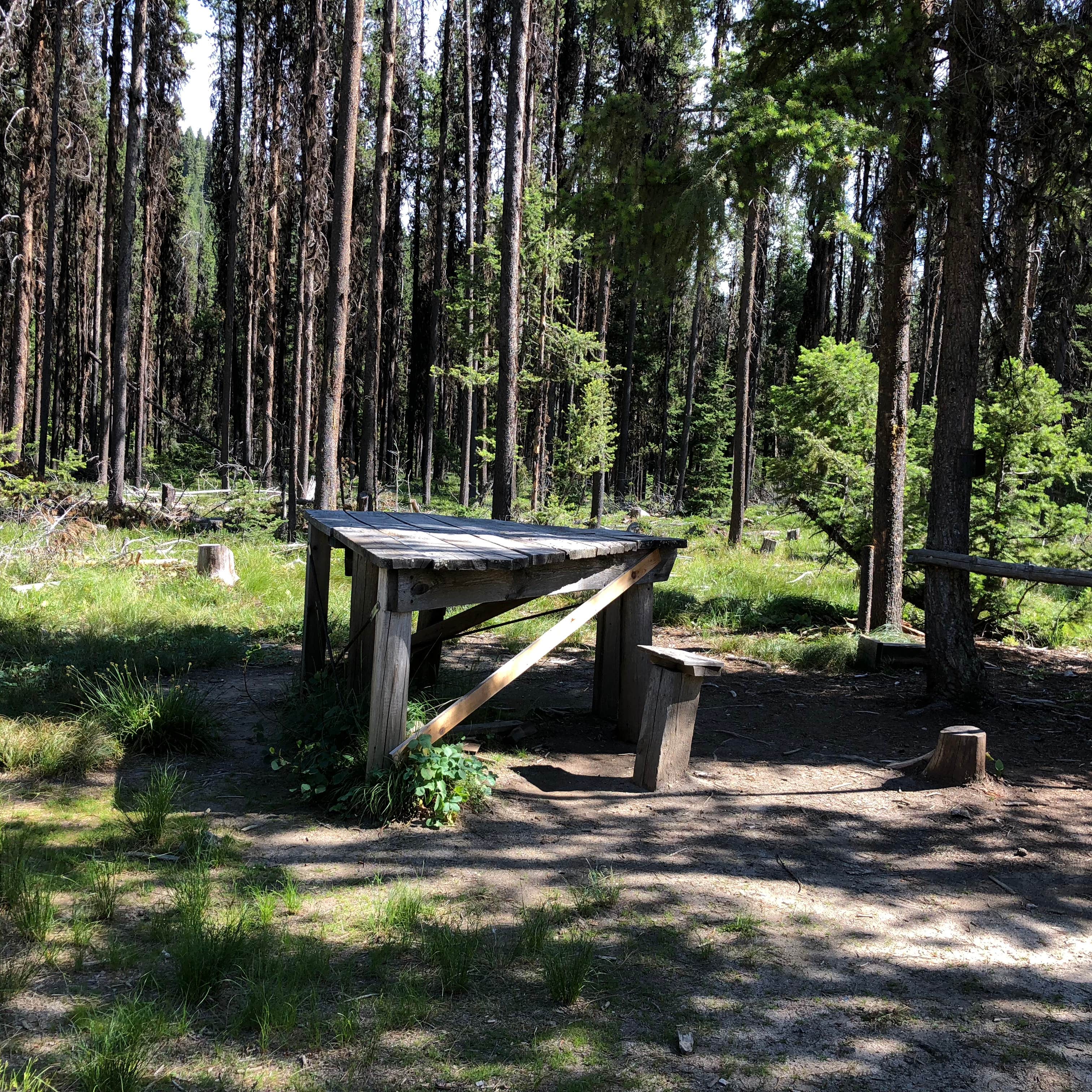 Escape To Montana's Hidden Gem: Martin Creek Campground