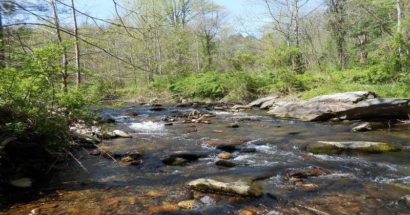 Mountain Stream RV Park | Pisgah National Forest, North Carolina