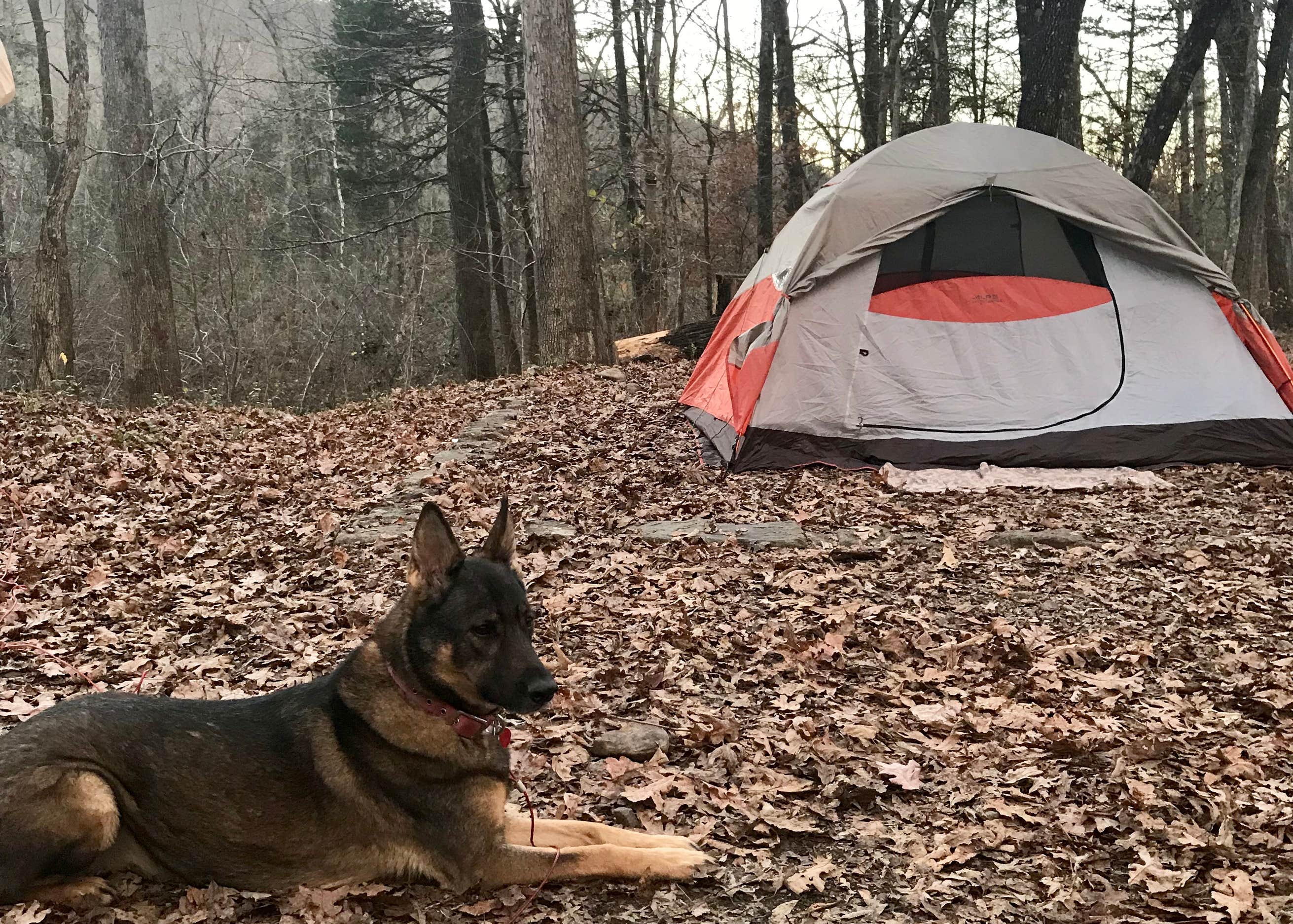 Redding Campground Camping | The Dyrt