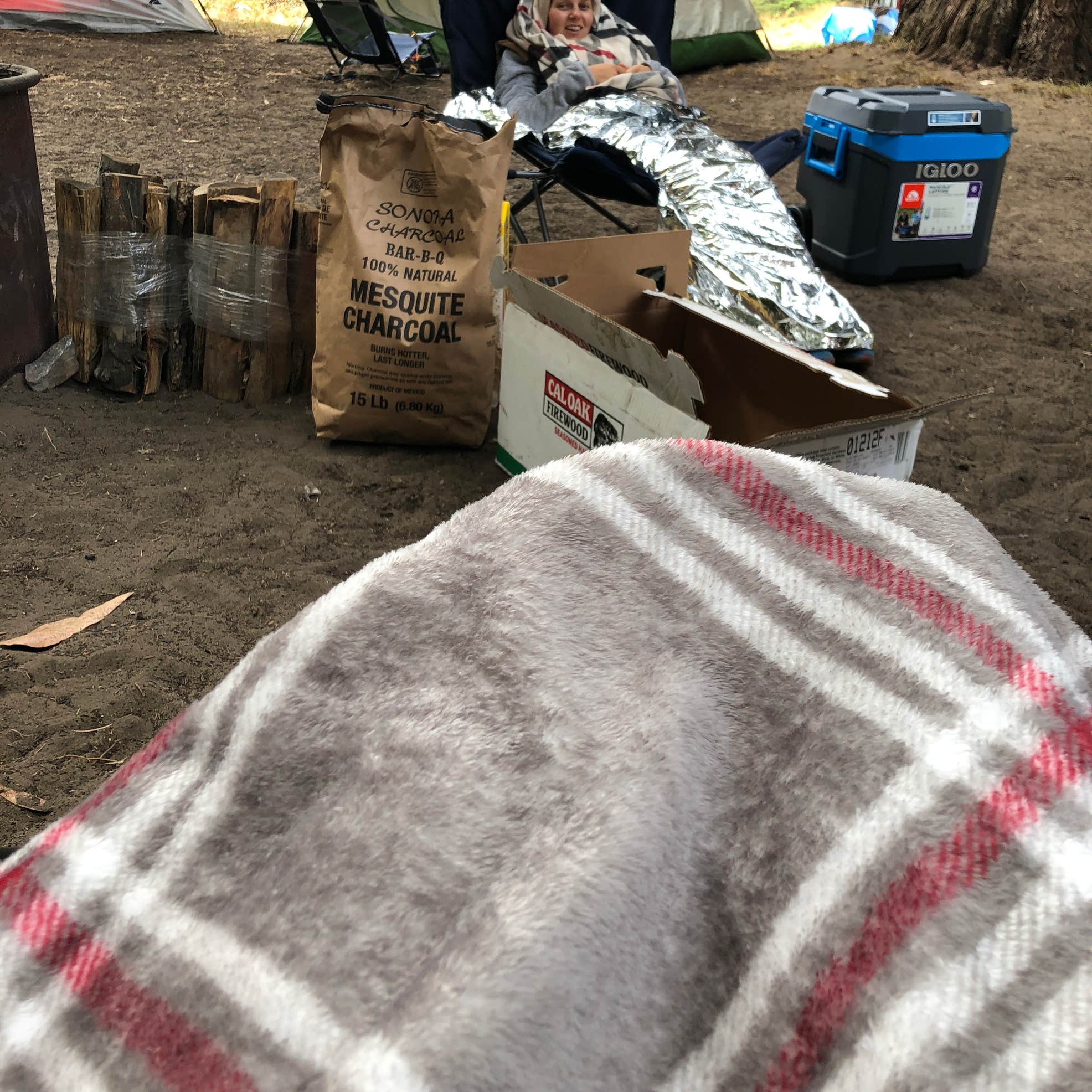 Bodega Dunes Campground at Sonoma Coast State Park Camping | The Dyrt