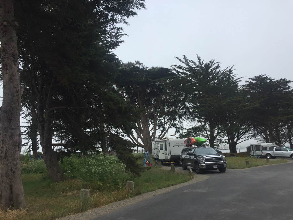Bodega Dunes Campground at Sonoma Coast State Park | The Dyrt