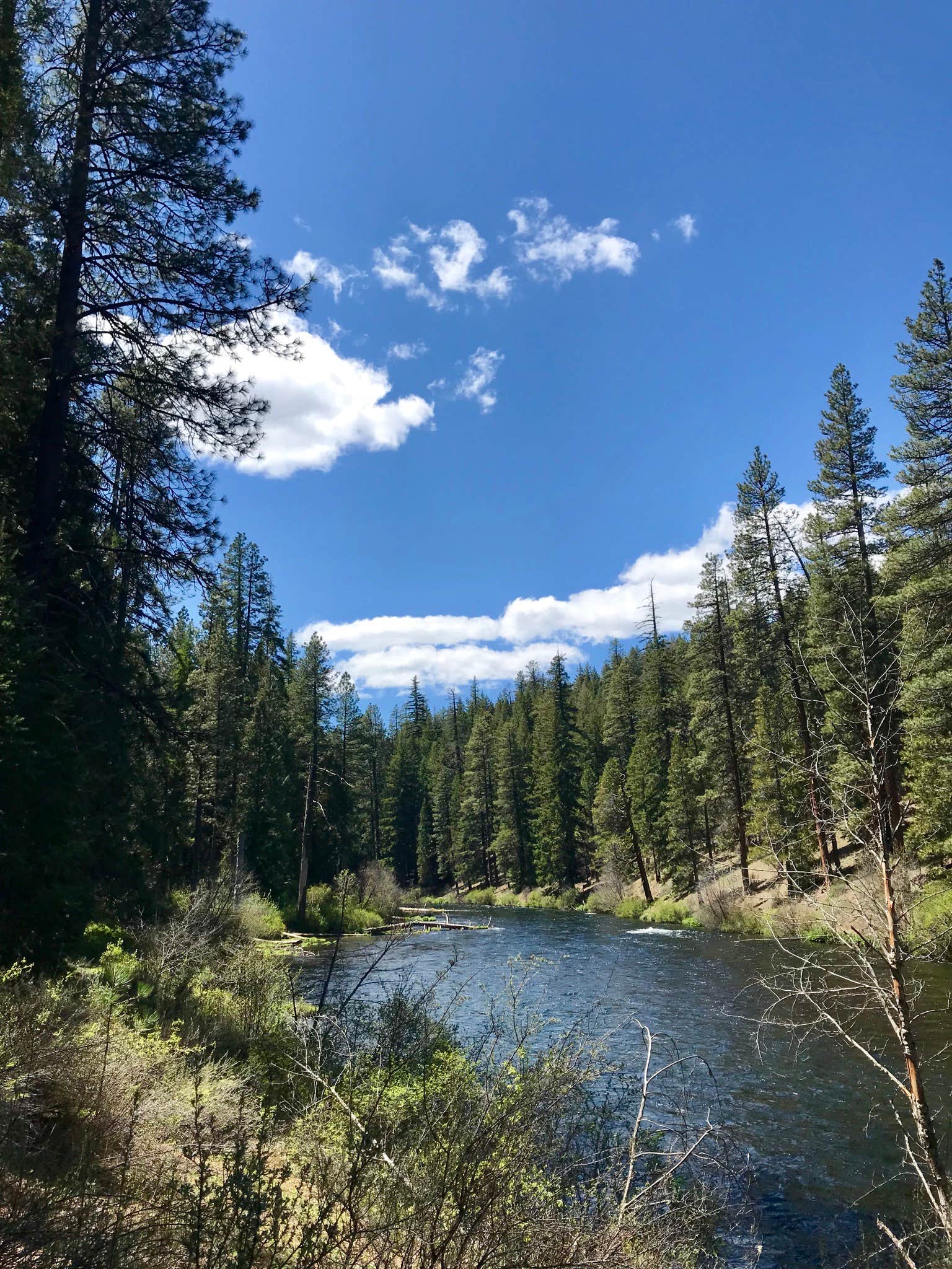 Lower Bridge Campground | Sisters, OR