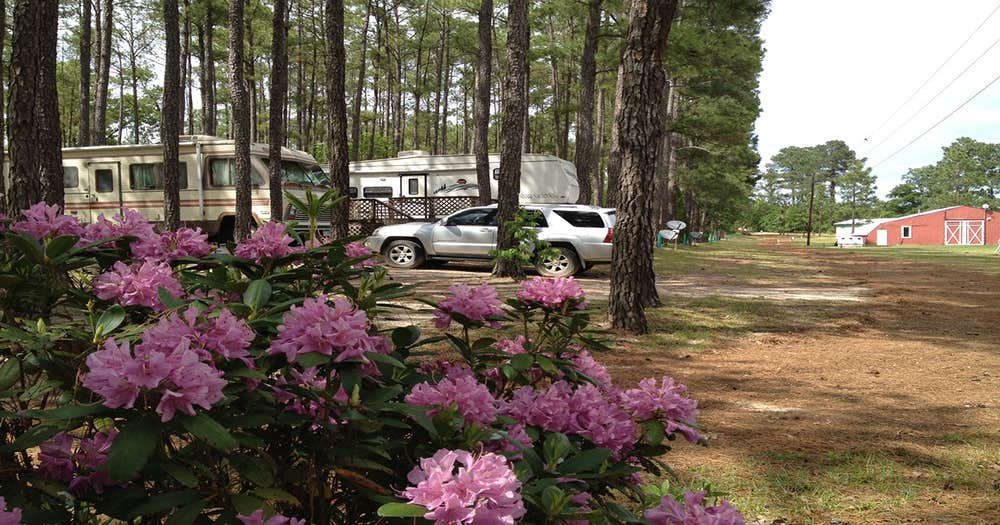 PINE LAKE RV RESORT | Wagram, North Carolina