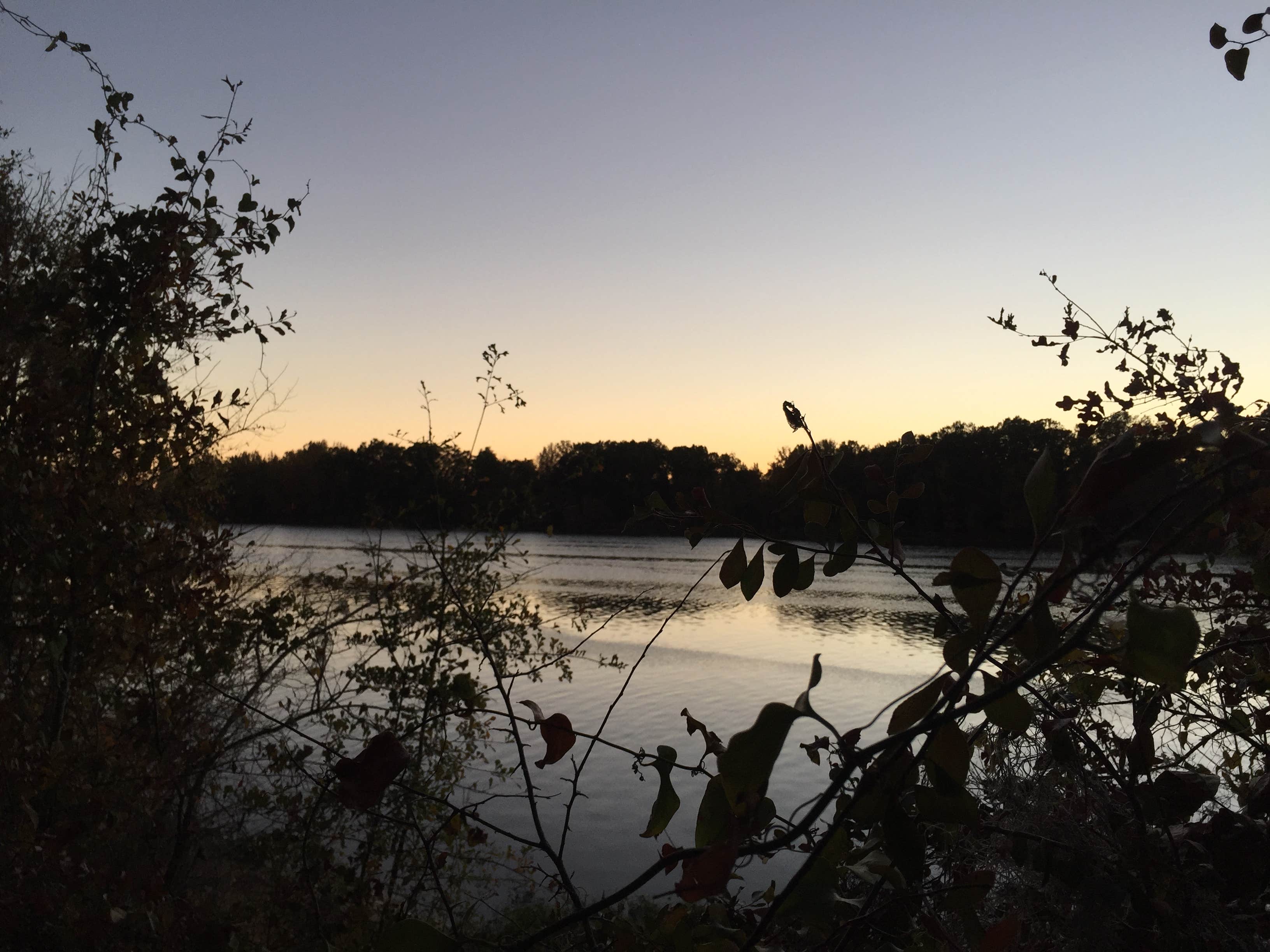 Florence Marina State Park Campground | Omaha, GA