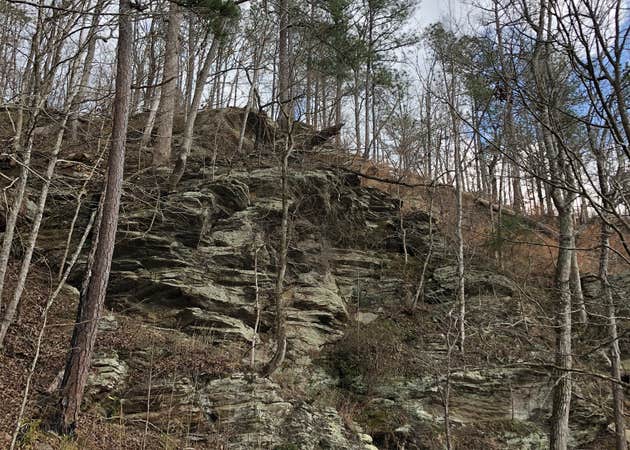 Sprewell Bluff Park Camping | The Dyrt