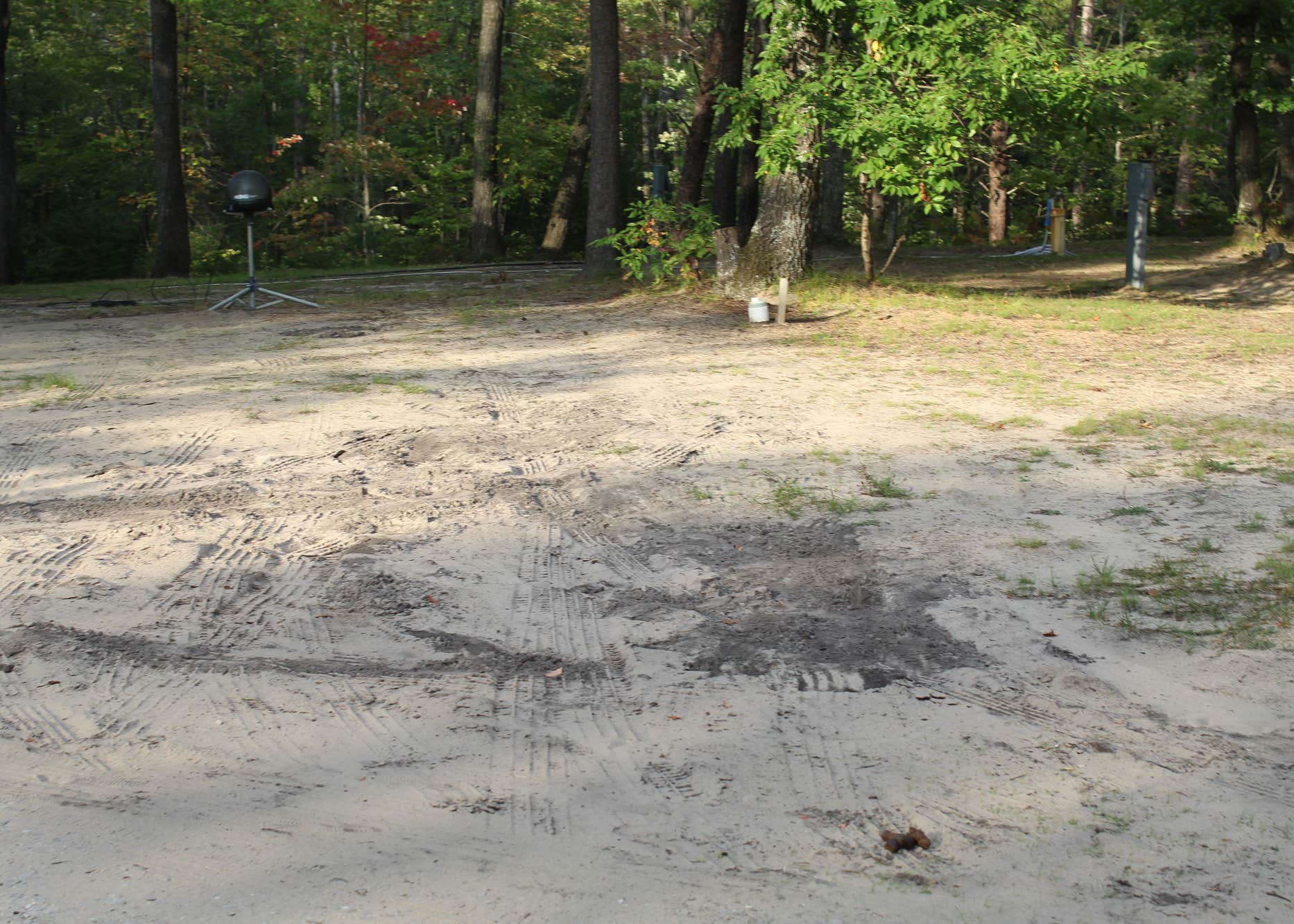 Twin Bears Wooded Campground Camping | The Dyrt