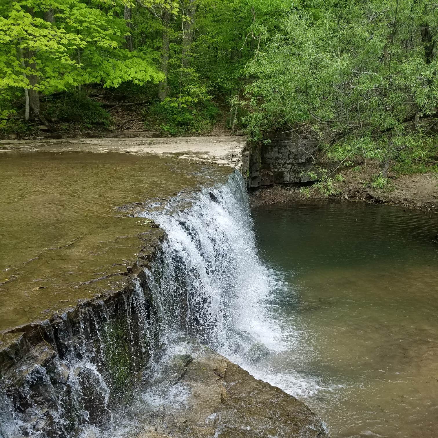 Nerstrand Big Woods State Park Camping | The Dyrt