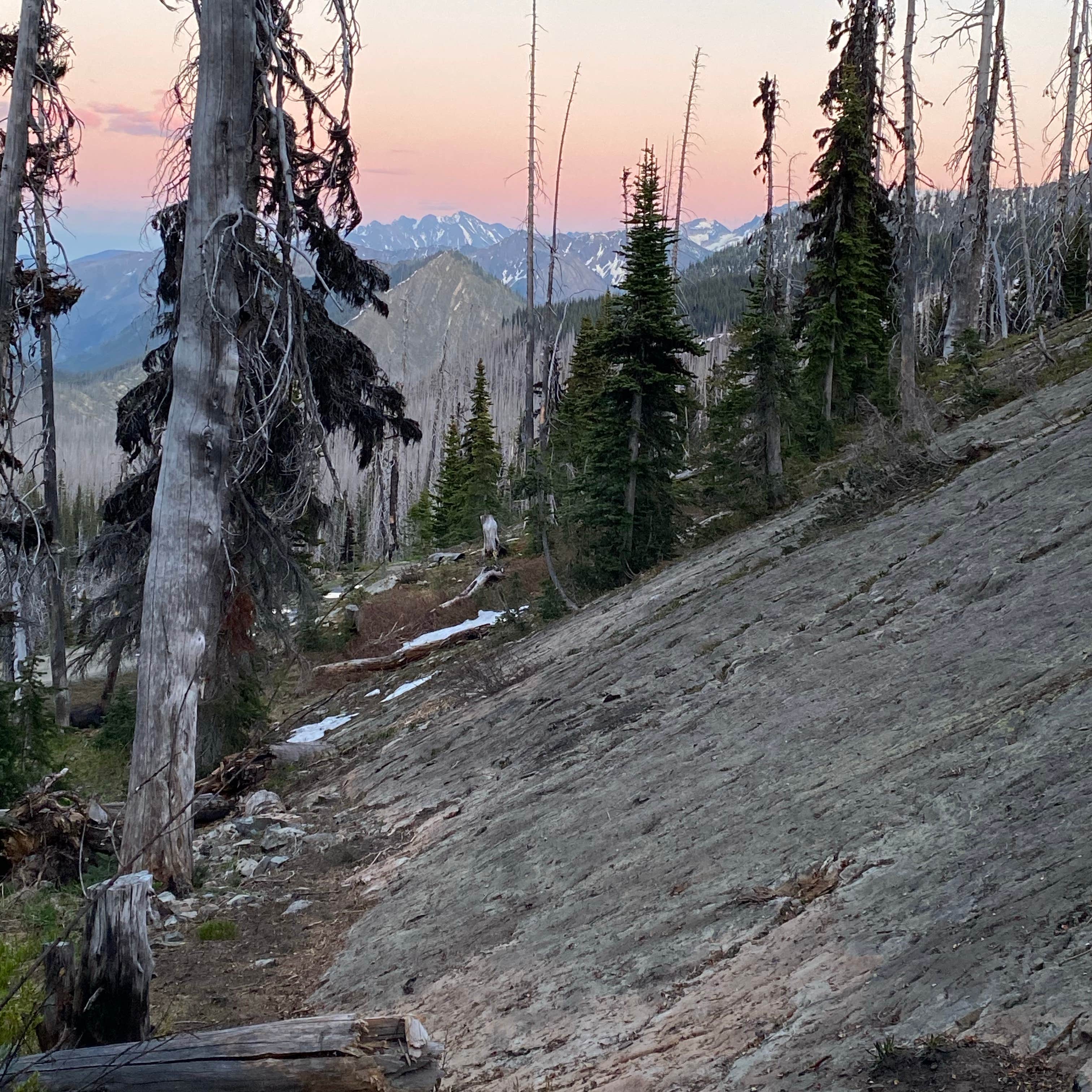 Harts Pass Campground Camping | The Dyrt