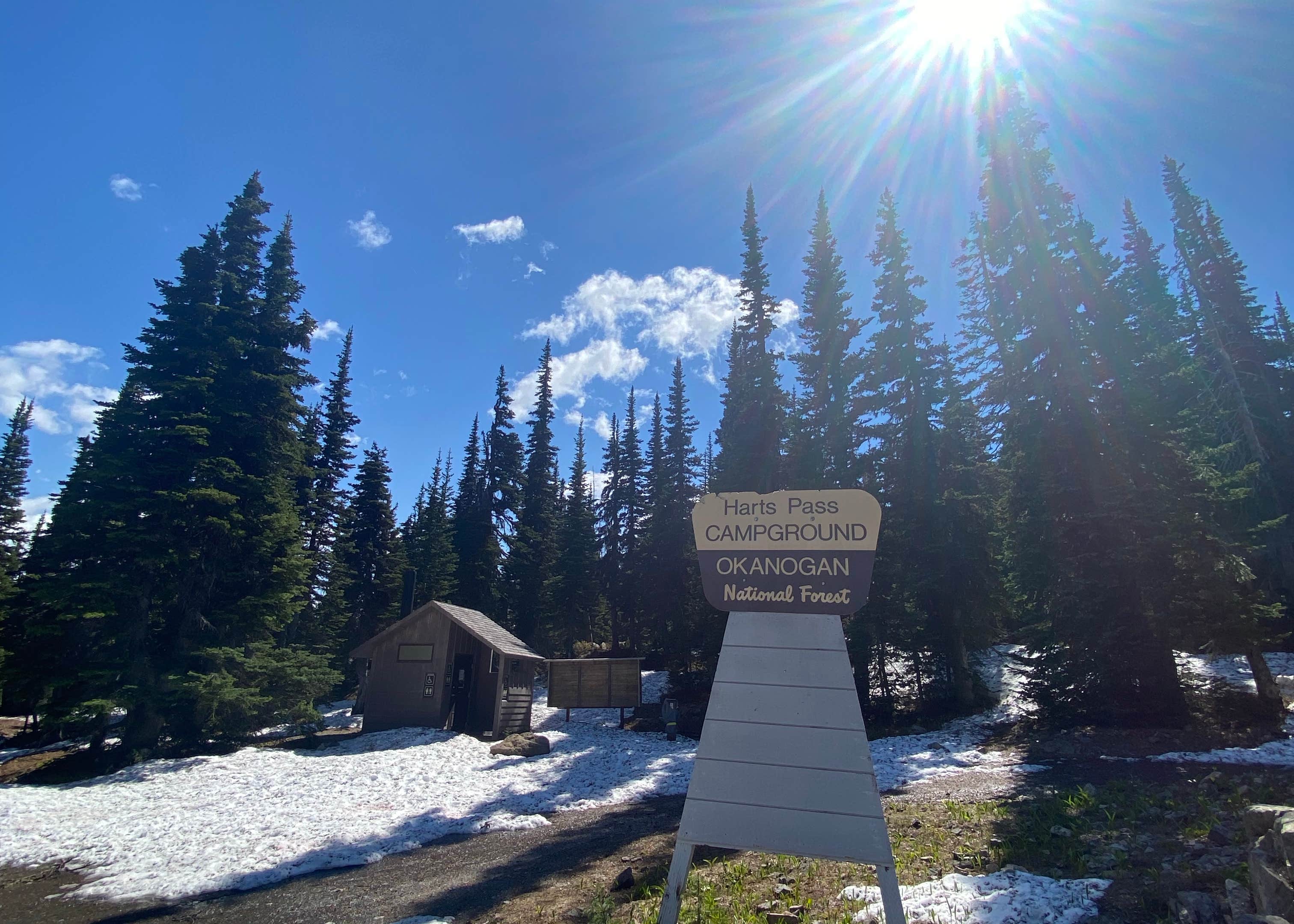 Harts Pass Campground Camping | The Dyrt