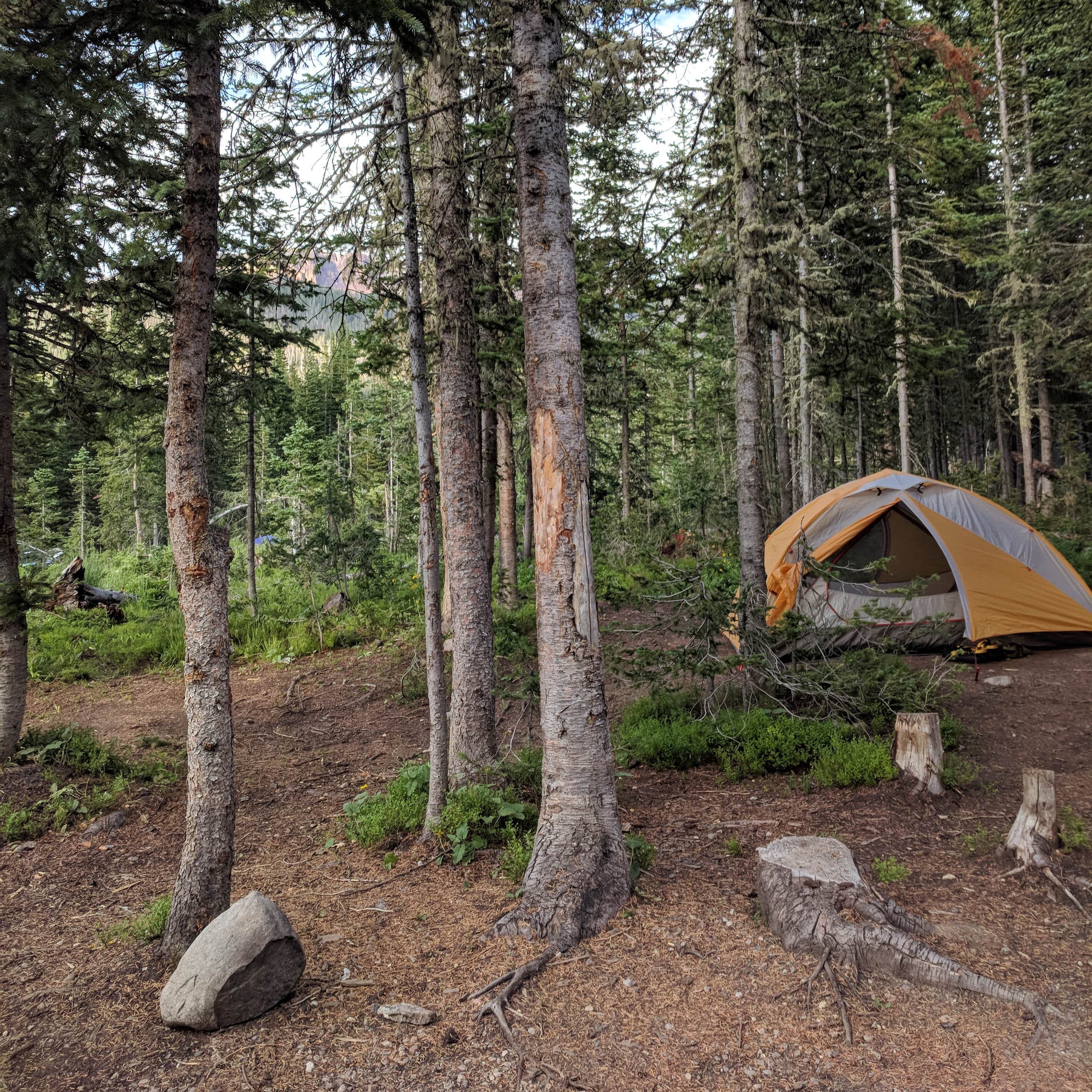 The Crags Campground Camping | The Dyrt