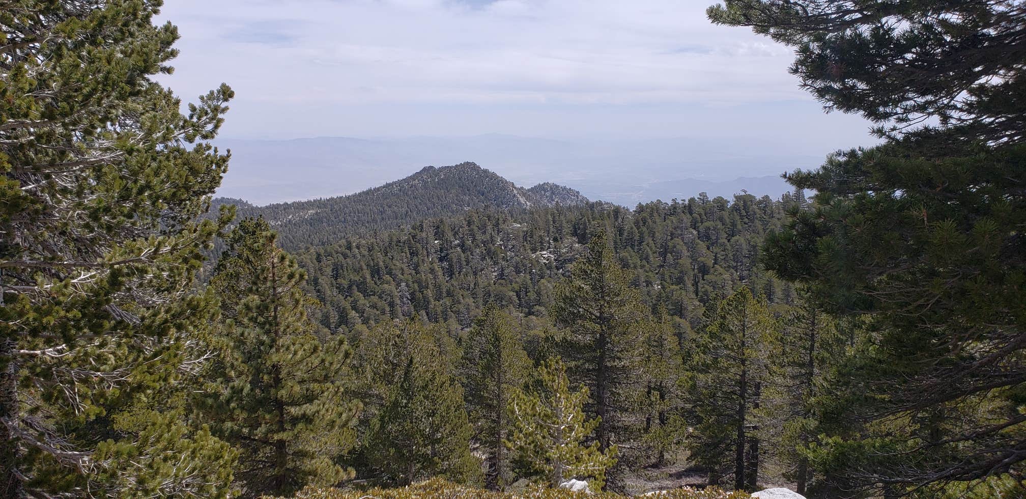 Round Valley Campsite | The Dyrt