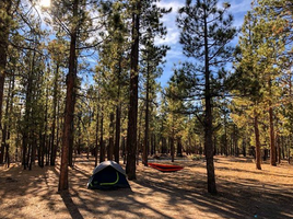 Holcomb Valley Campground | The Dyrt