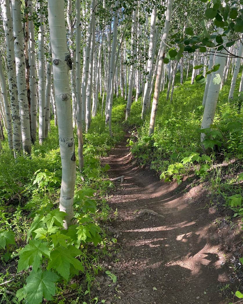 Buffalo Pass Dispersed Camping | The Dyrt