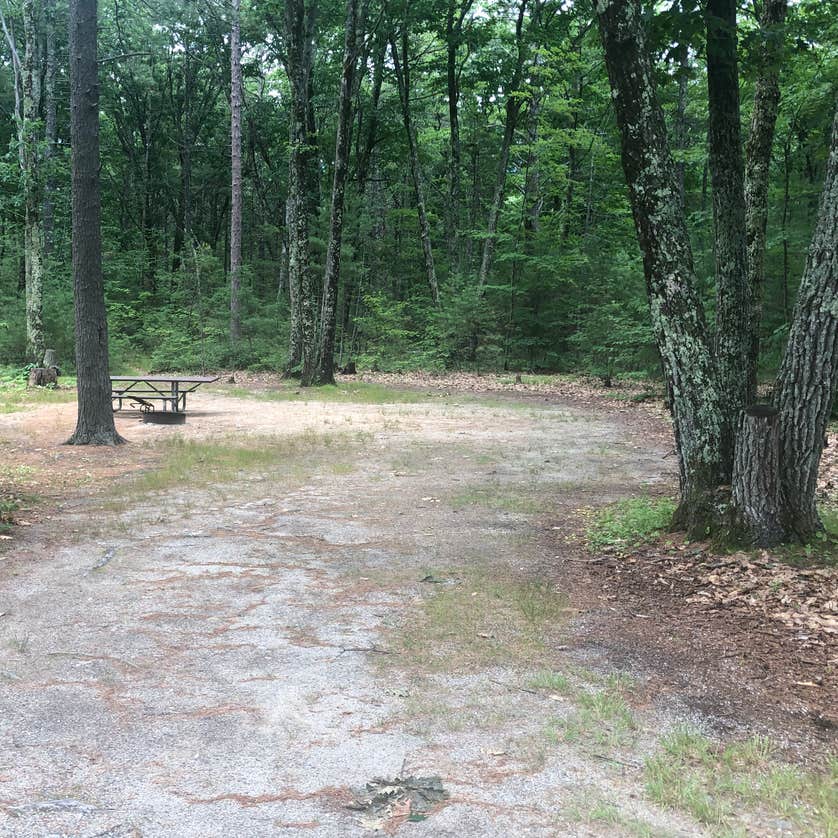 Greenfield State Park Camping | The Dyrt