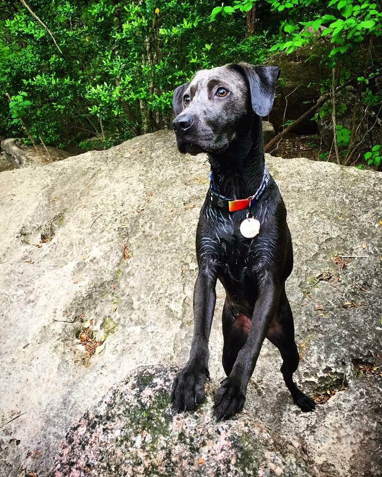 Emma Long Metropolitan Park Camping | Austin, TX