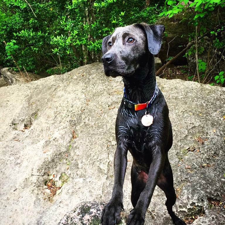 Emma Long Metropolitan Park Camping | West Lake Hills, Texas