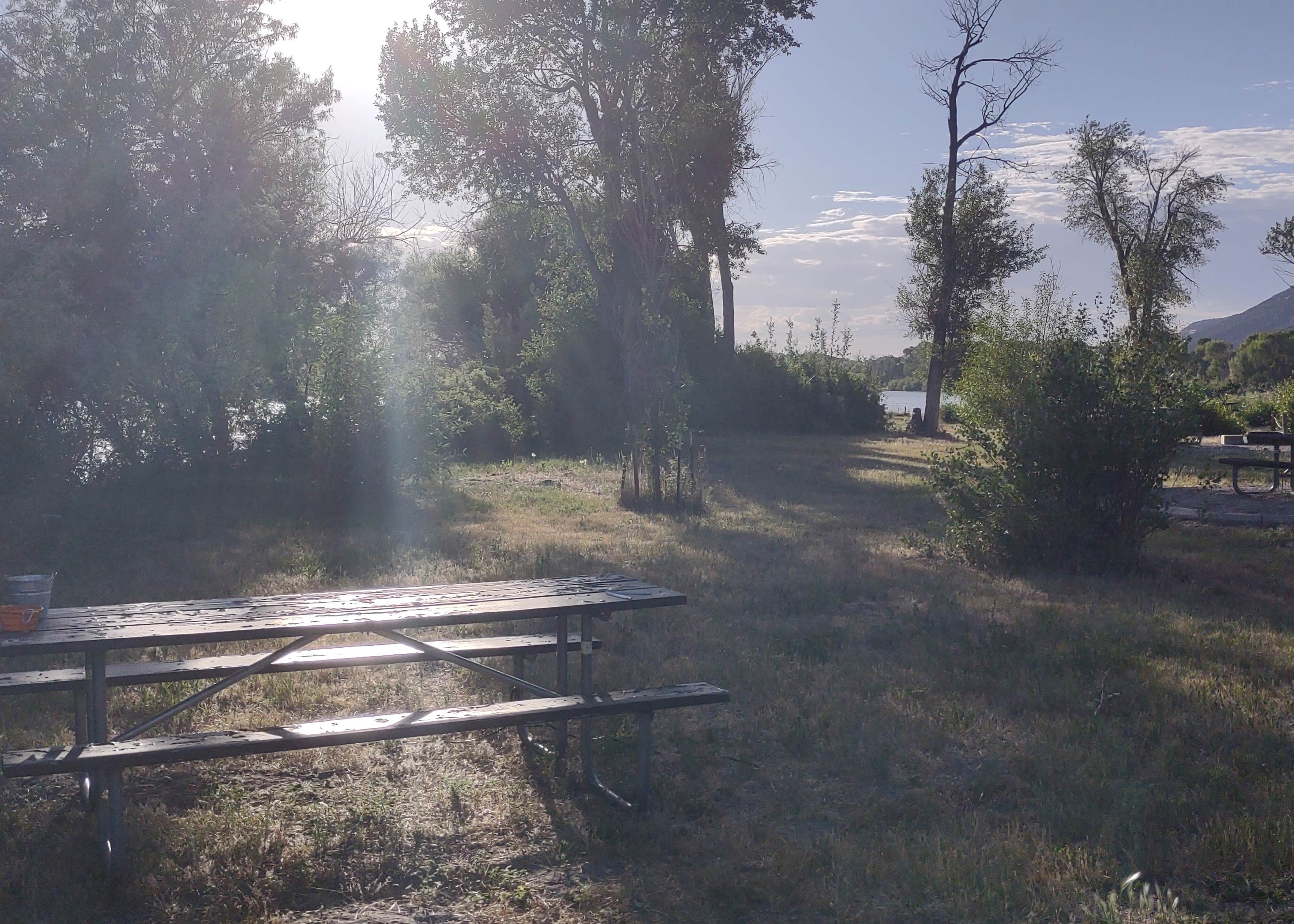 Kelly Island Campground Camping | The Dyrt