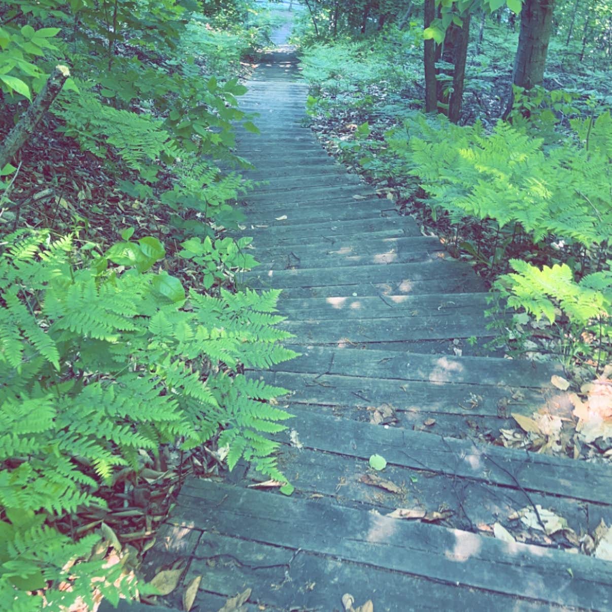 Whitewater Township Park Campground | Williamsburg, Michigan