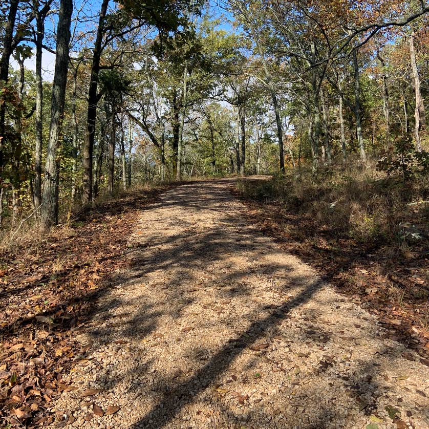 Sam A. Baker State Park Campground | Patterson, MO