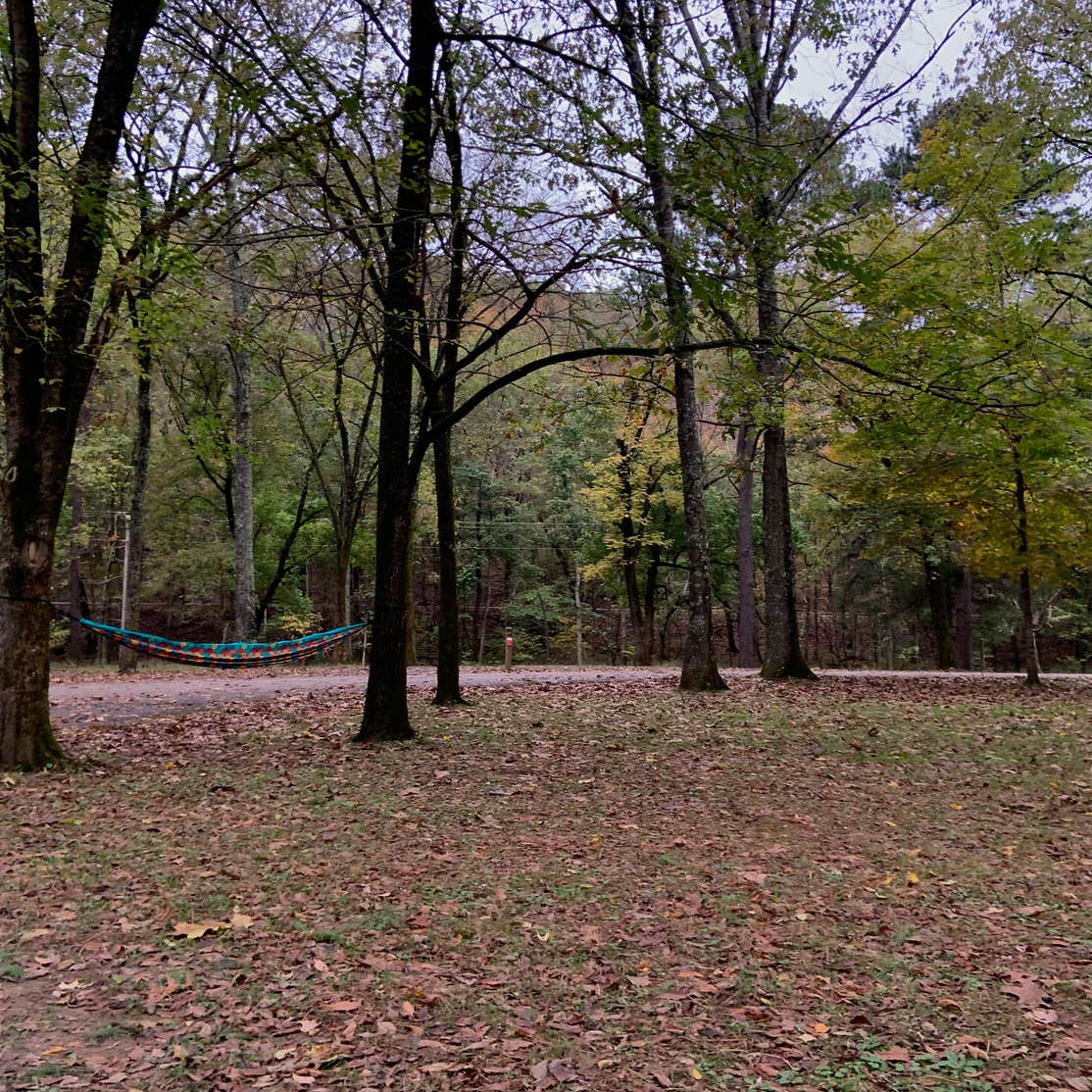 Sam A. Baker State Park Campground | Patterson, MO