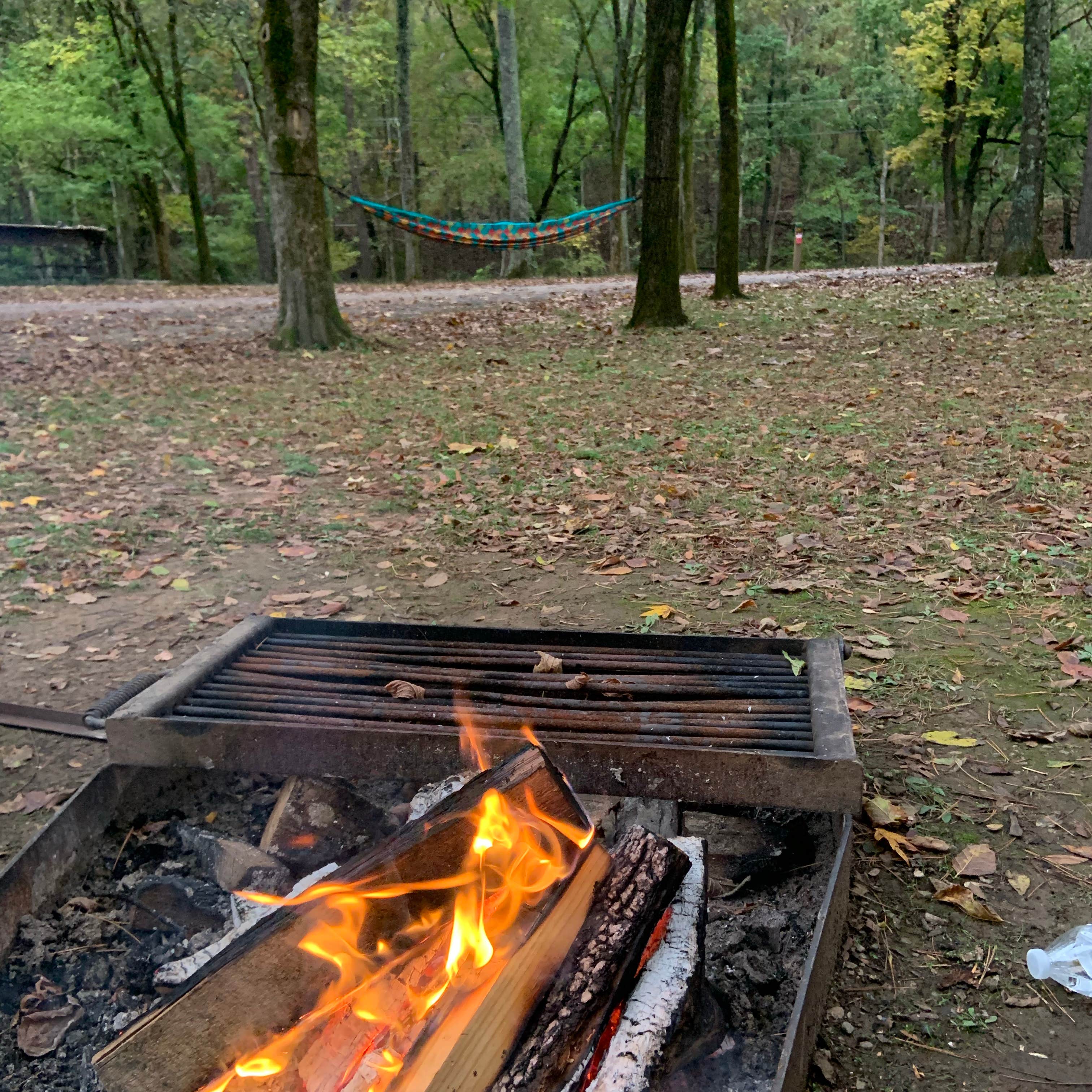Sam A. Baker State Park Campground | Patterson, Missouri