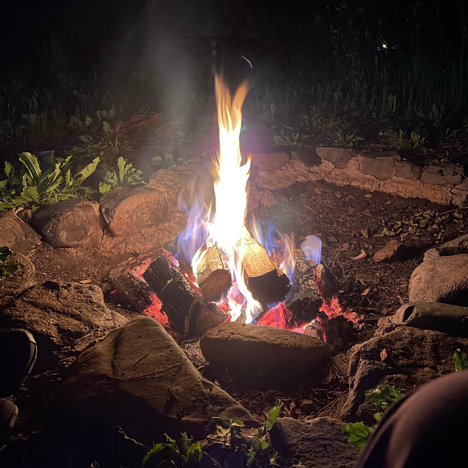 Bruce Spruce Ranch Camping | The Dyrt