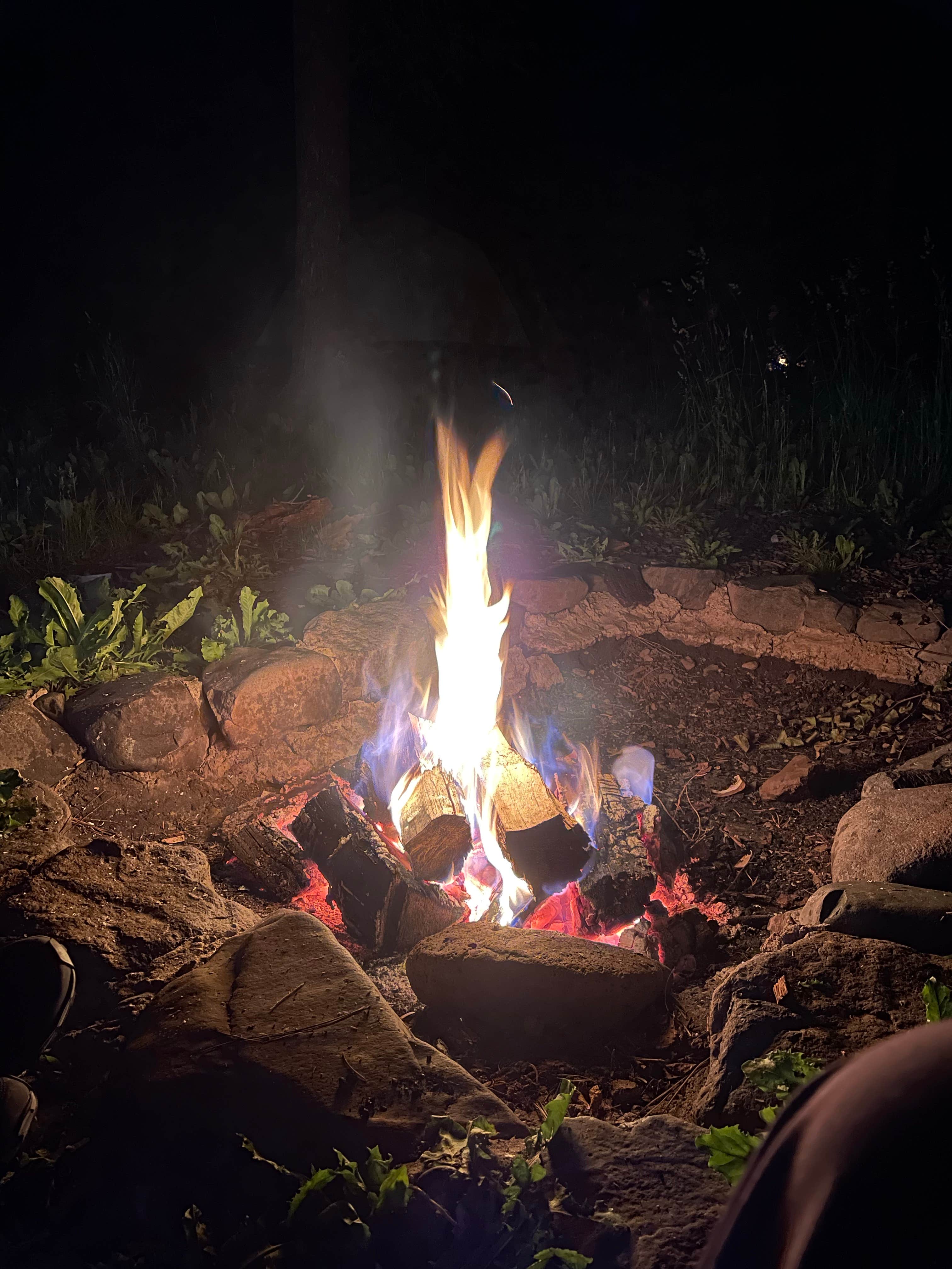 Bruce Spruce Ranch Camping | Pagosa Springs, CO