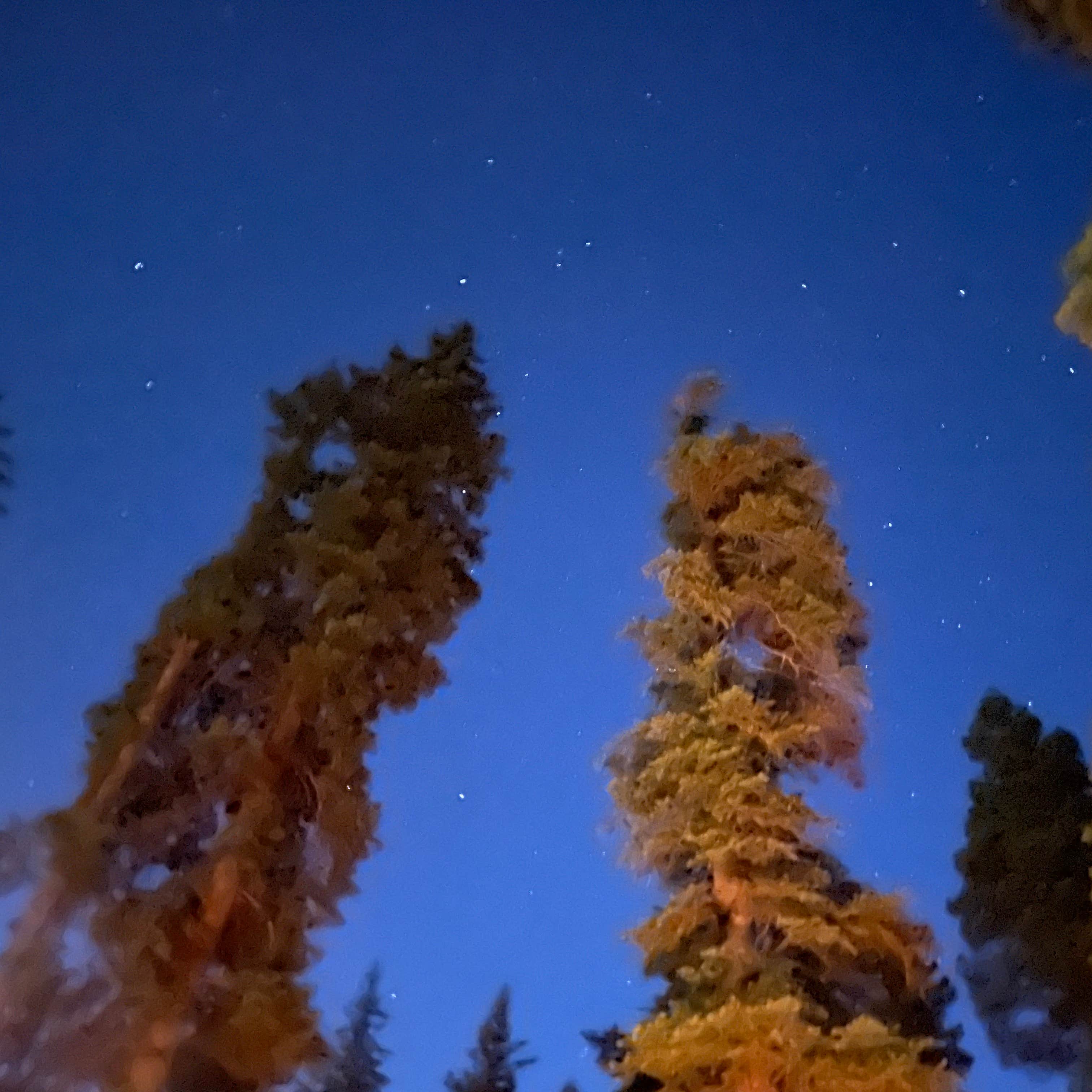 Bruce Spruce Ranch Camping | Pagosa Springs, CO