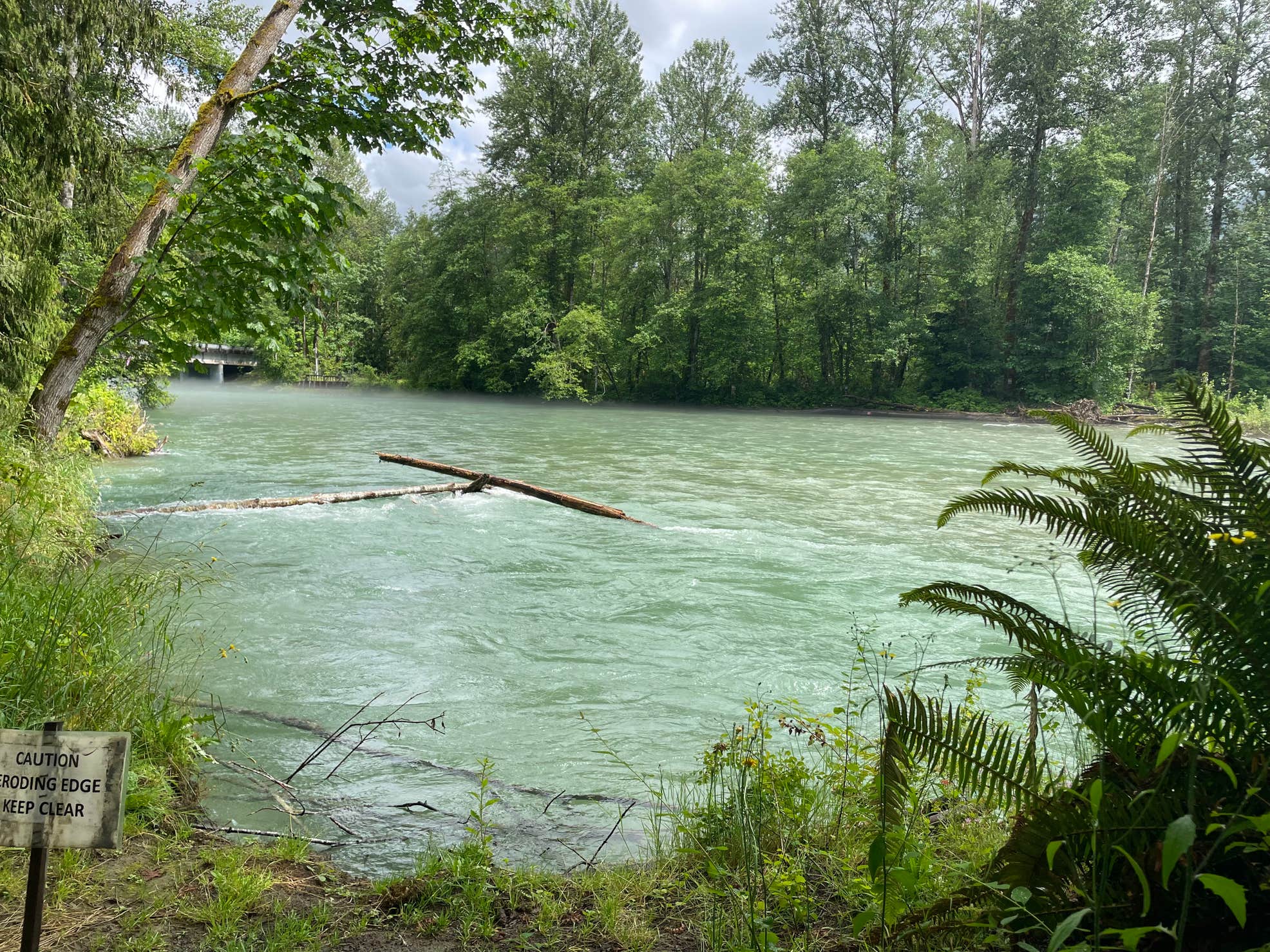 Cascade Wagon Road Campground Camping | The Dyrt