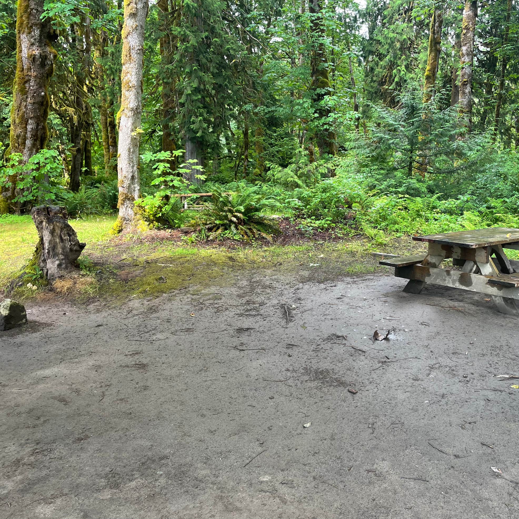 Cascade Wagon Road Campground Camping | The Dyrt