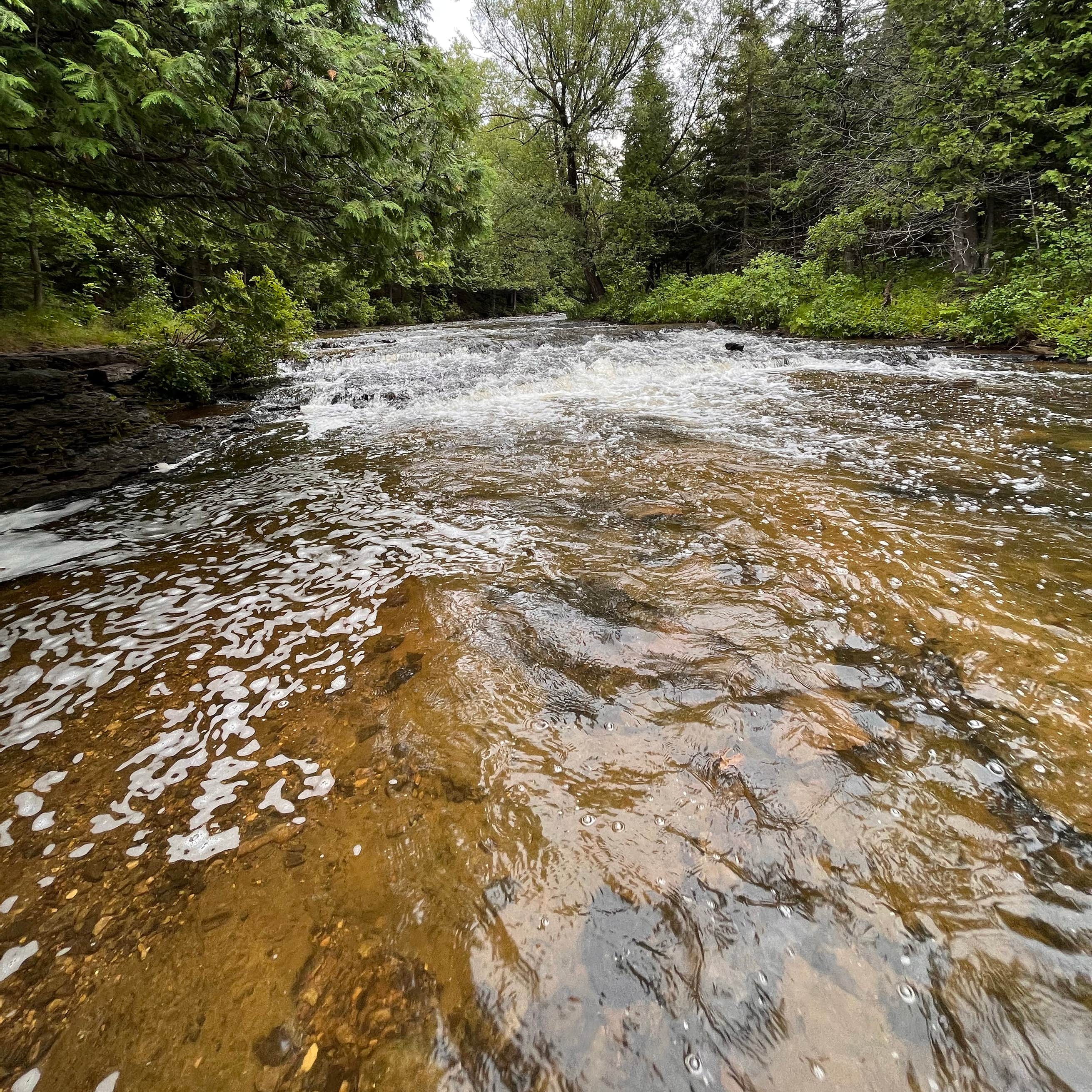 Ocqueoc Falls State Forest Campground | Millersburg, Michigan