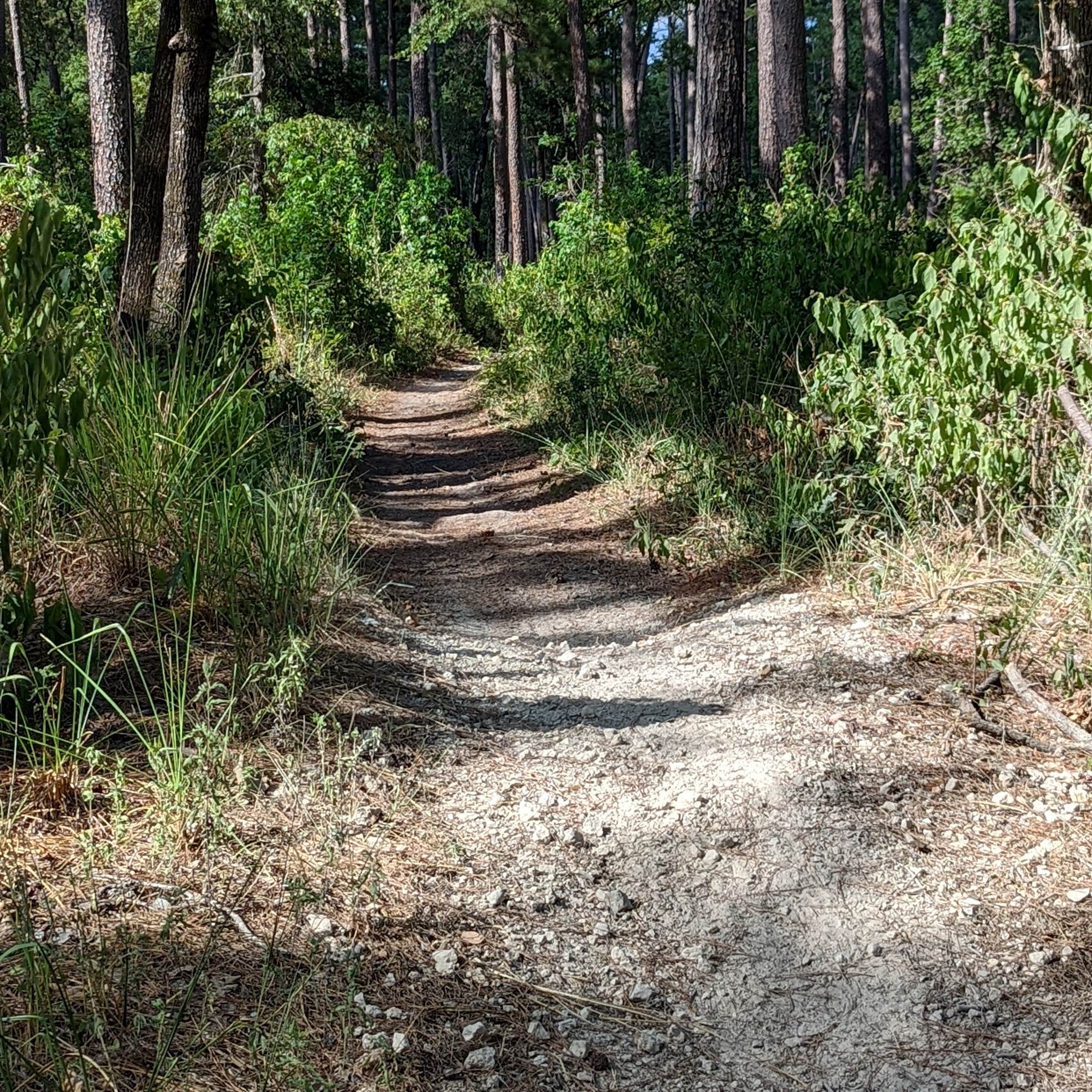 Cagle Recreation Area Camping | New waverly, TX