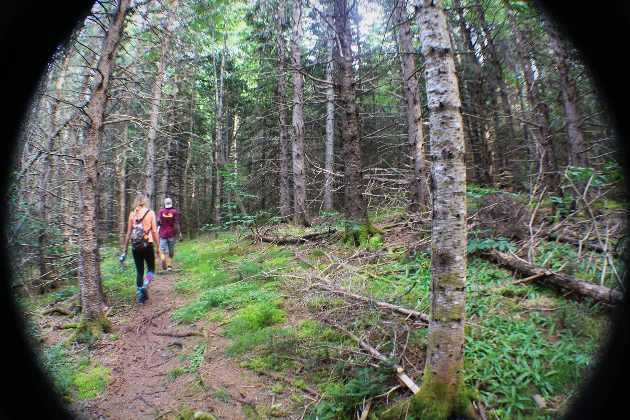 Abol Bridge Campground & Store | Millinocket, Maine