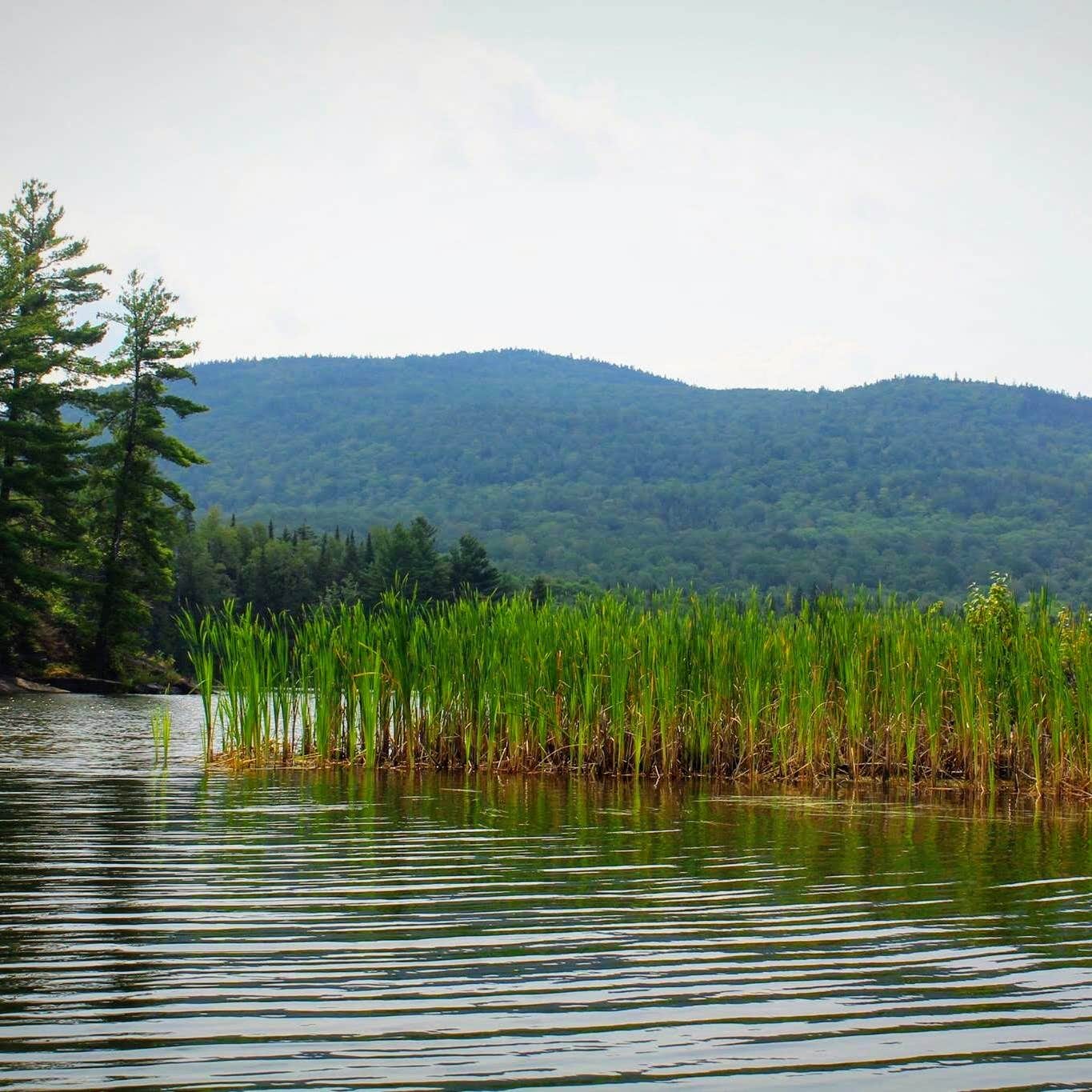 Abol Bridge Campground & Store Camping | The Dyrt