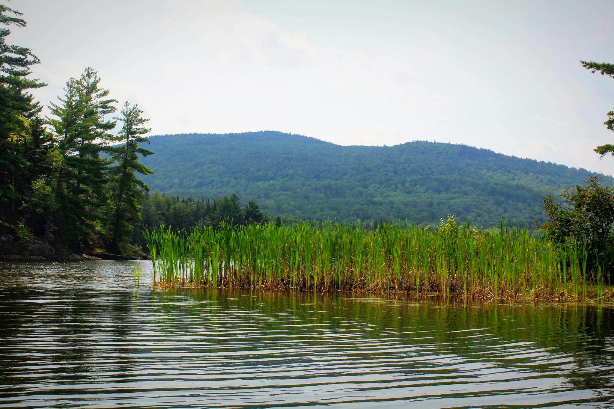 Abol Bridge Campground & Store | Millinocket, Maine