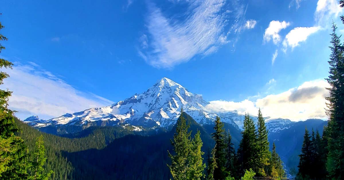 Cougar Park & Campground - Tent Only | Cougar, Washington