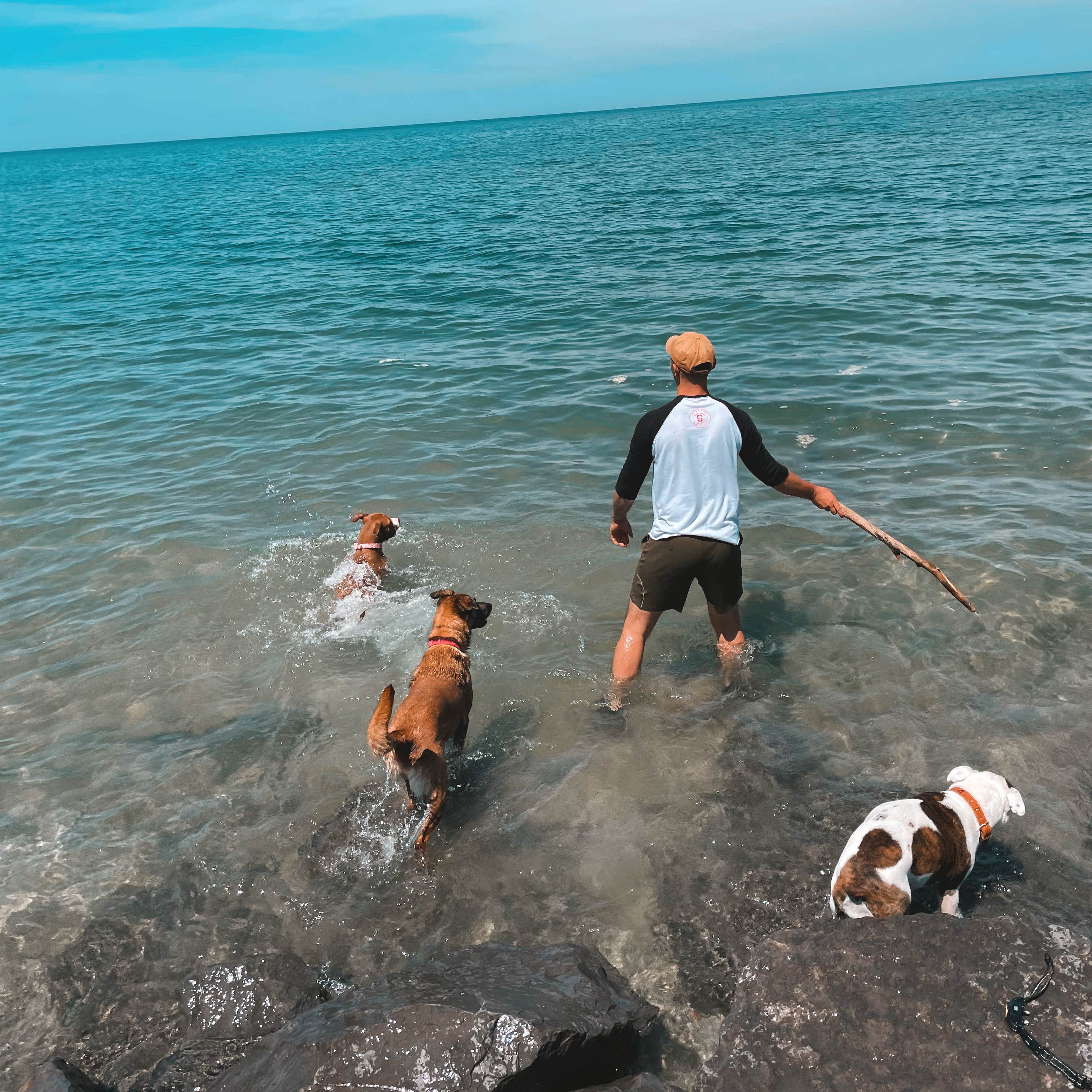 Hamlin Beach State Park Campground | Morton, New York