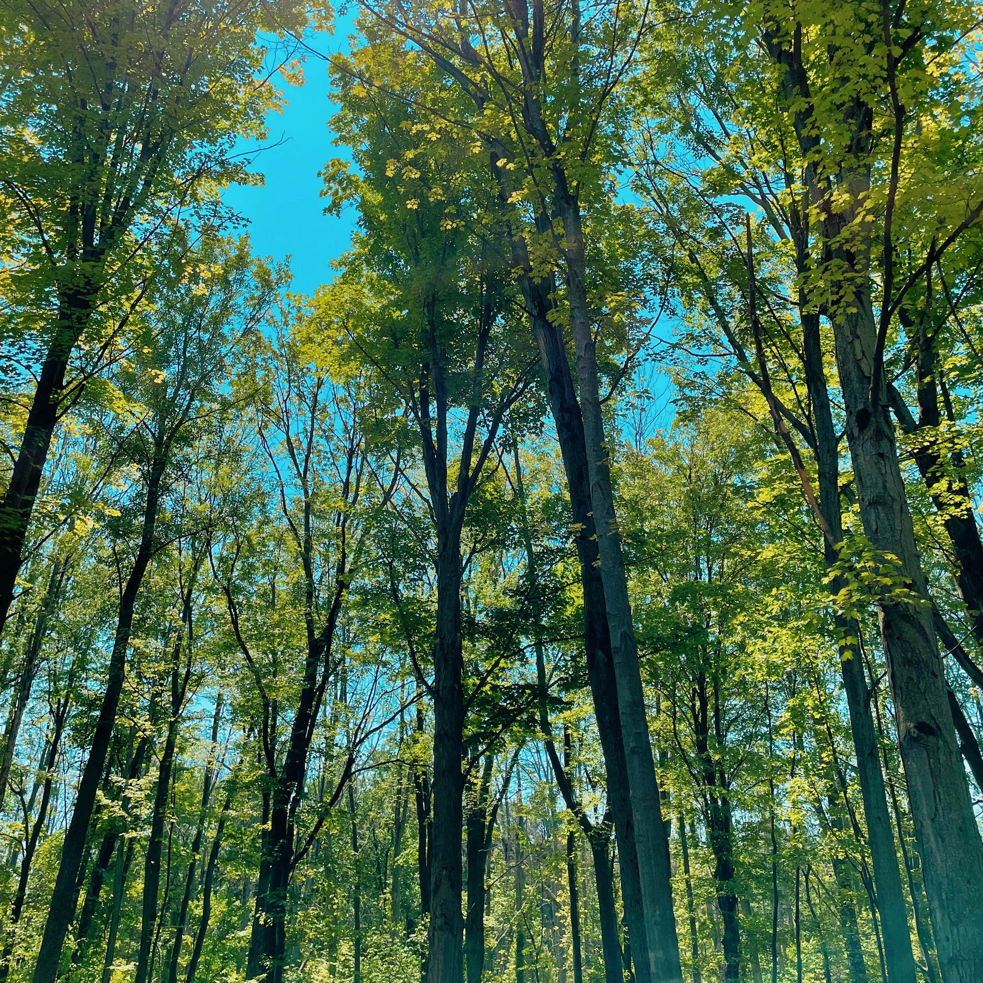 Hamlin Beach State Park Campground | Morton, New York