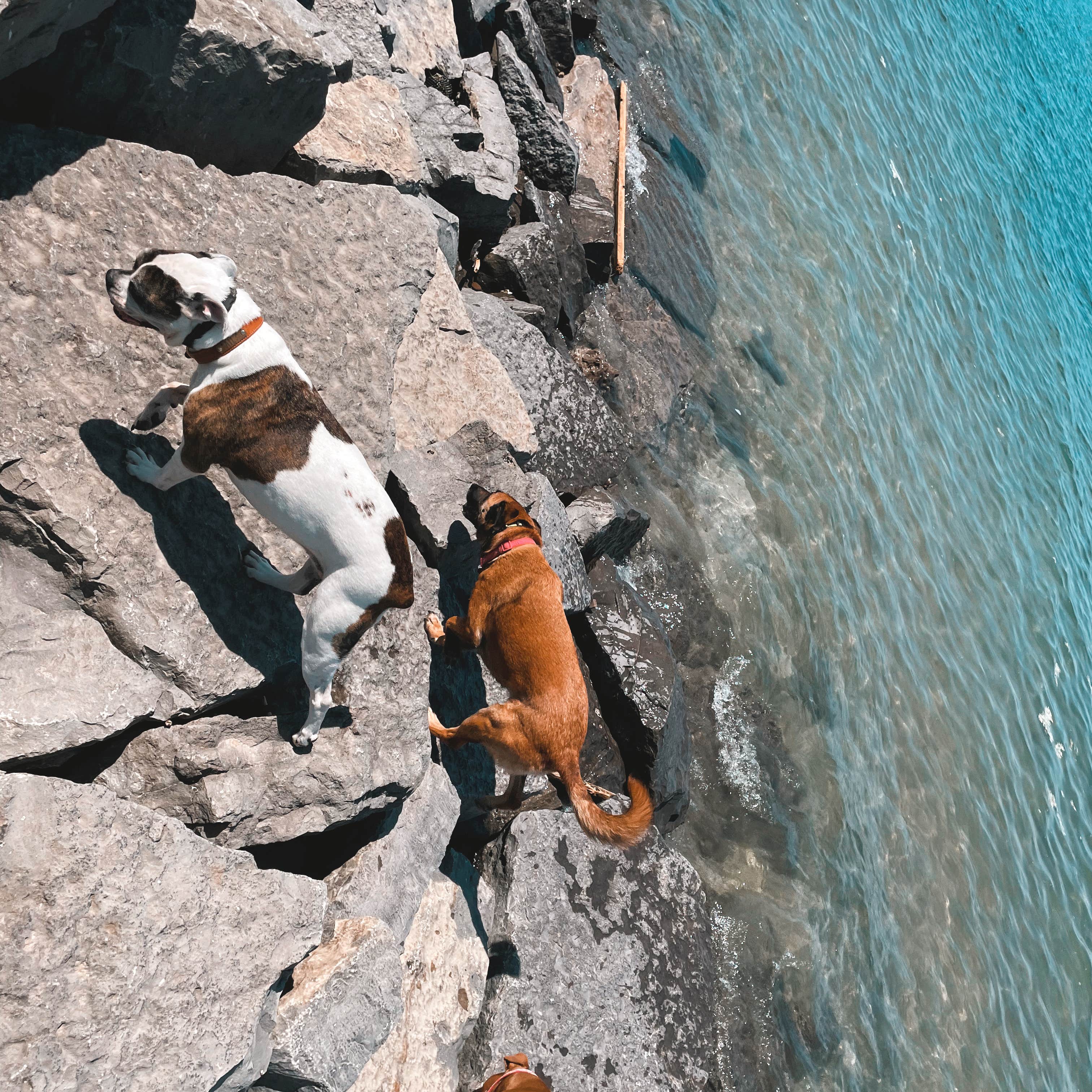 Hamlin Beach State Park Campground | Morton, New York