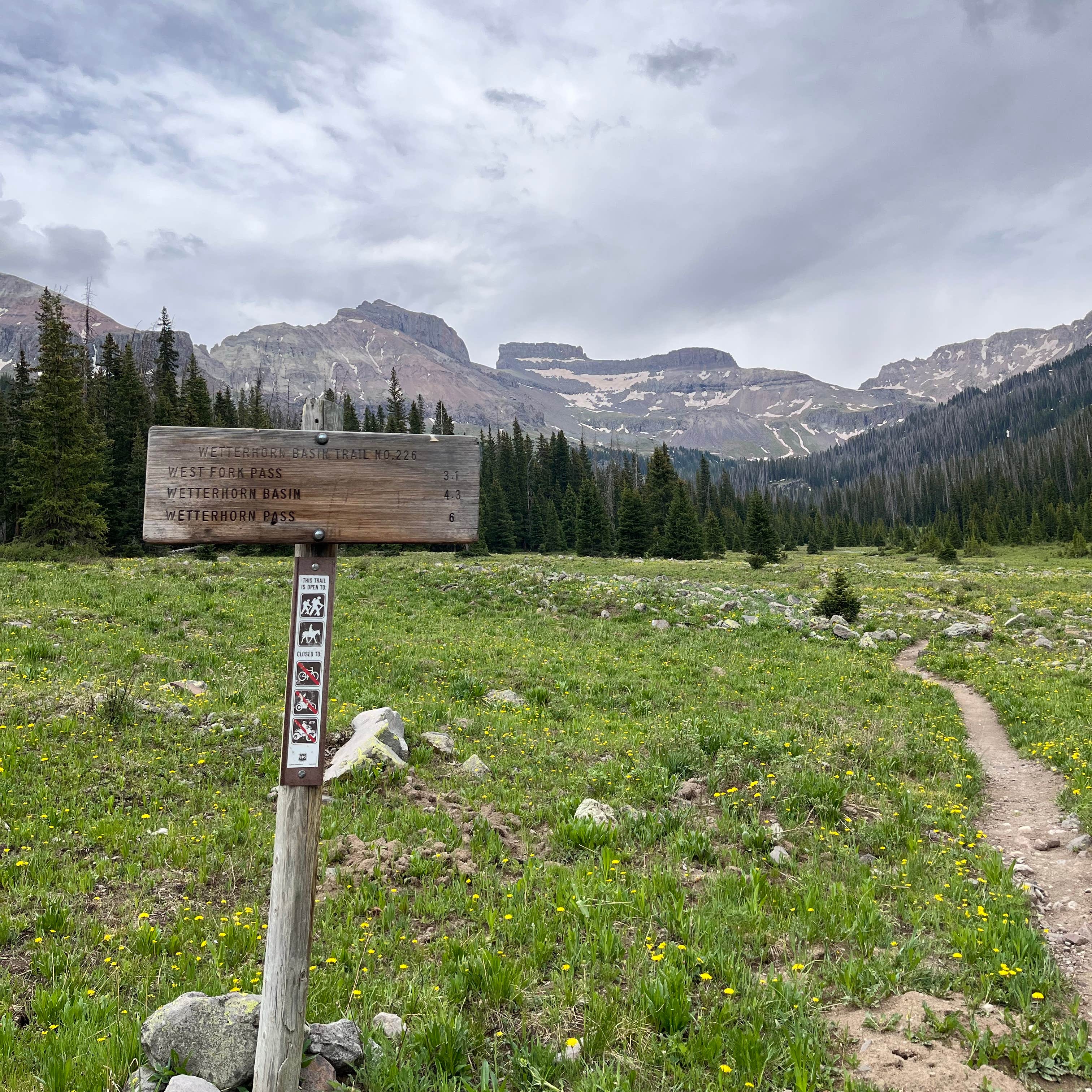 Silver Jack Campground | Ridgway, Colorado