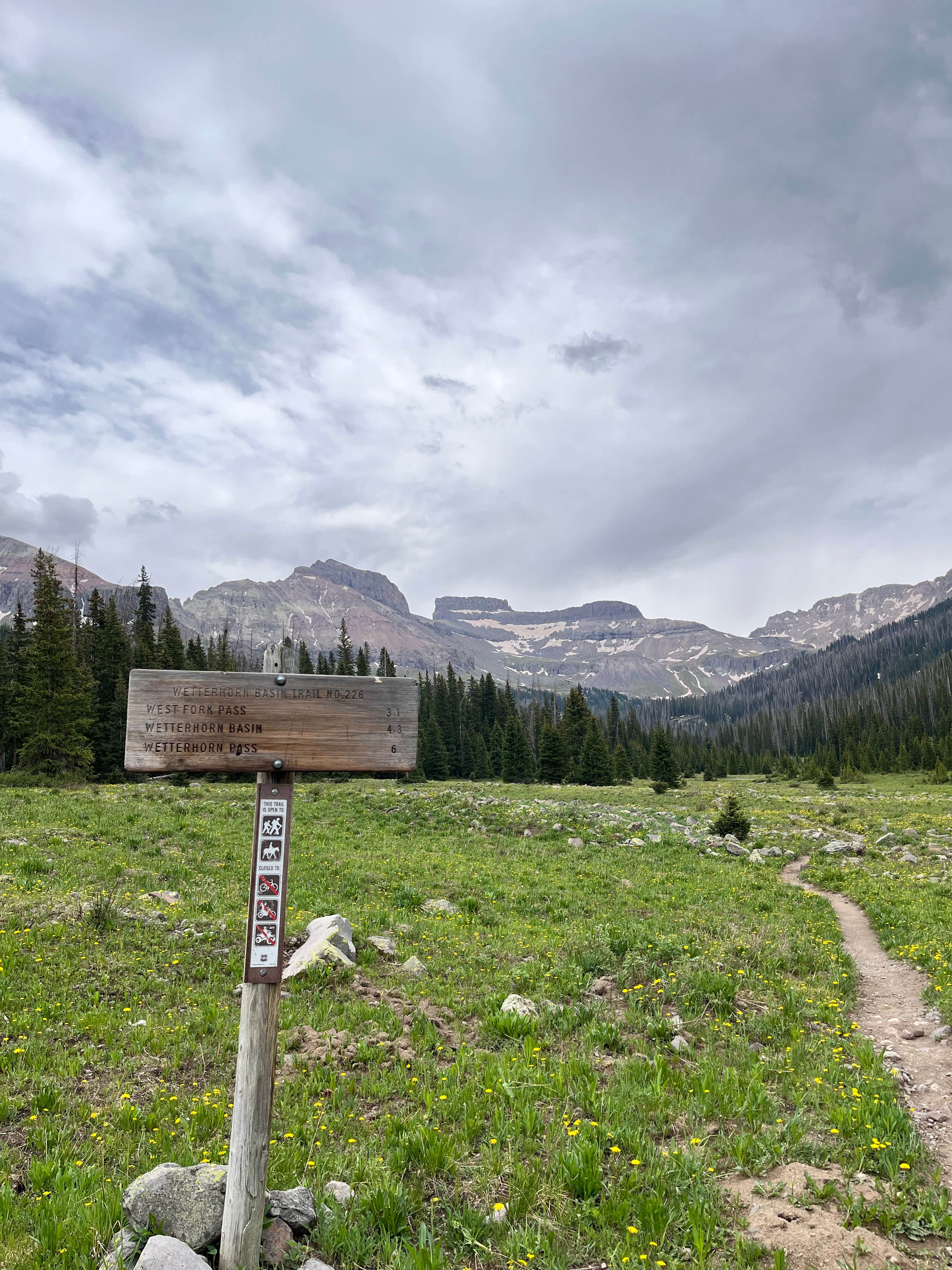 Silver Jack Campground | Ridgway, Colorado