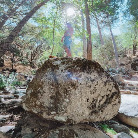 Sequoia National Park Dispersed campground | Johnsondale, CA