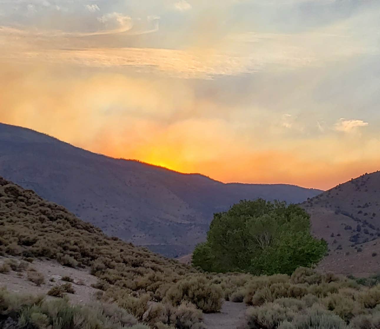 Topaz Lake Recreation Area Camping | Topaz, California