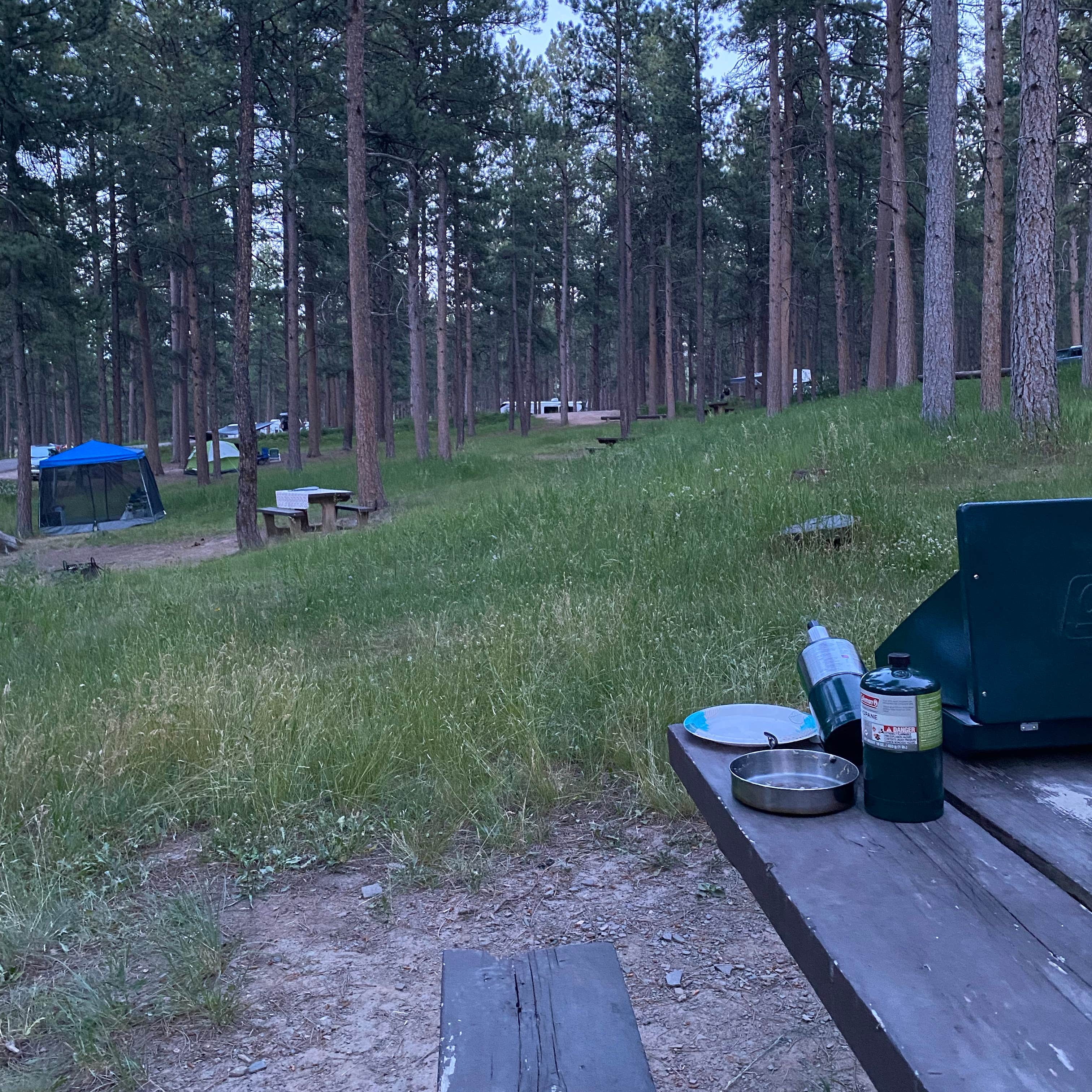 Pactola Reservoir Campground | Silver City, South Dakota
