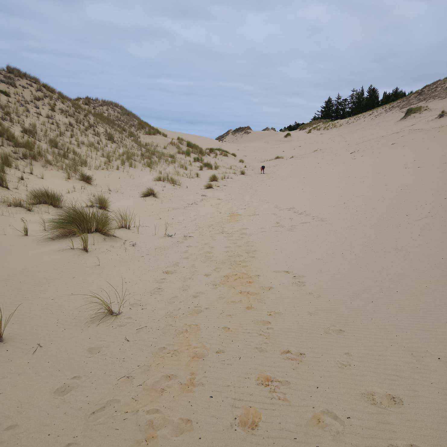 Tyee Campground | Florence, Oregon
