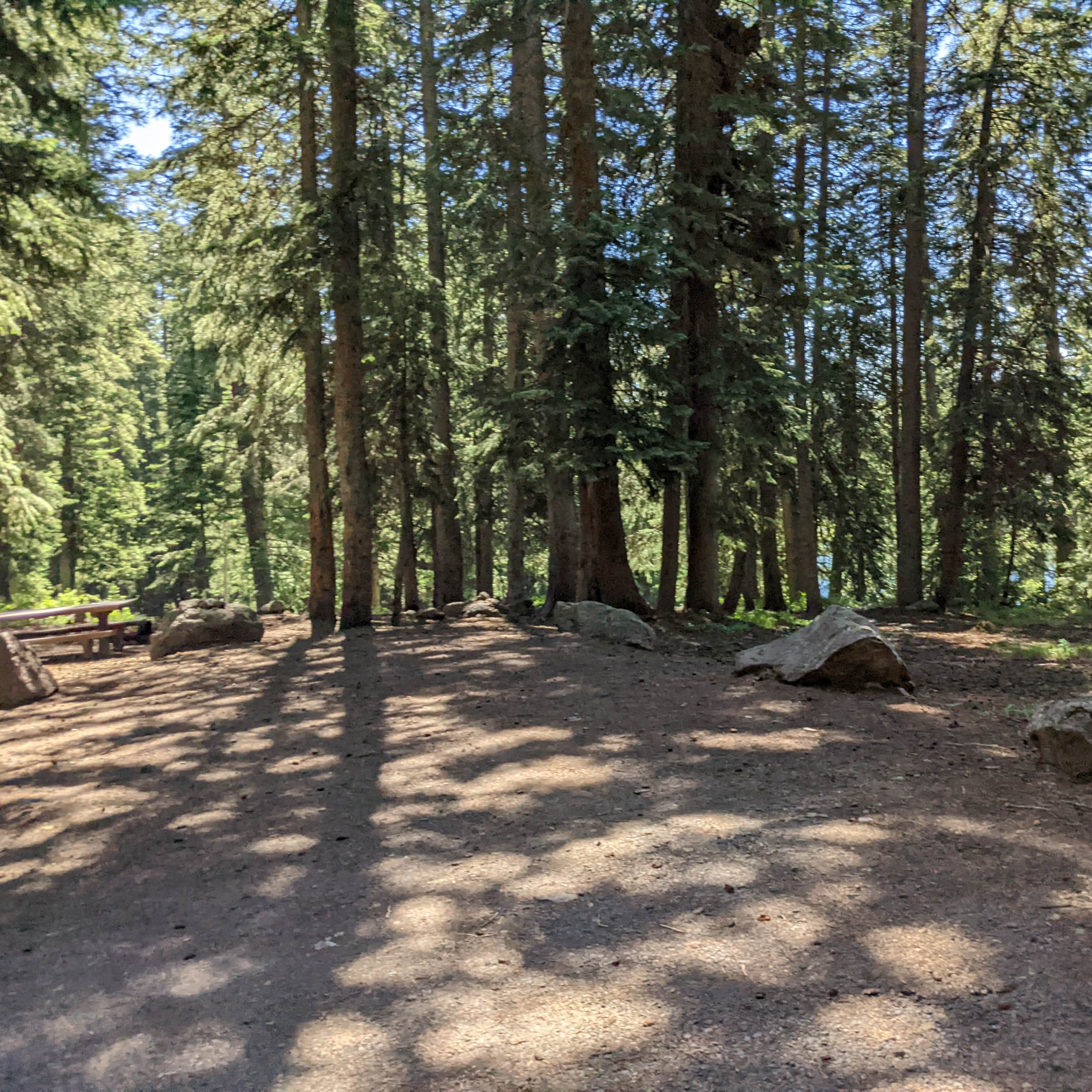 Ward Lake Campground Camping | The Dyrt