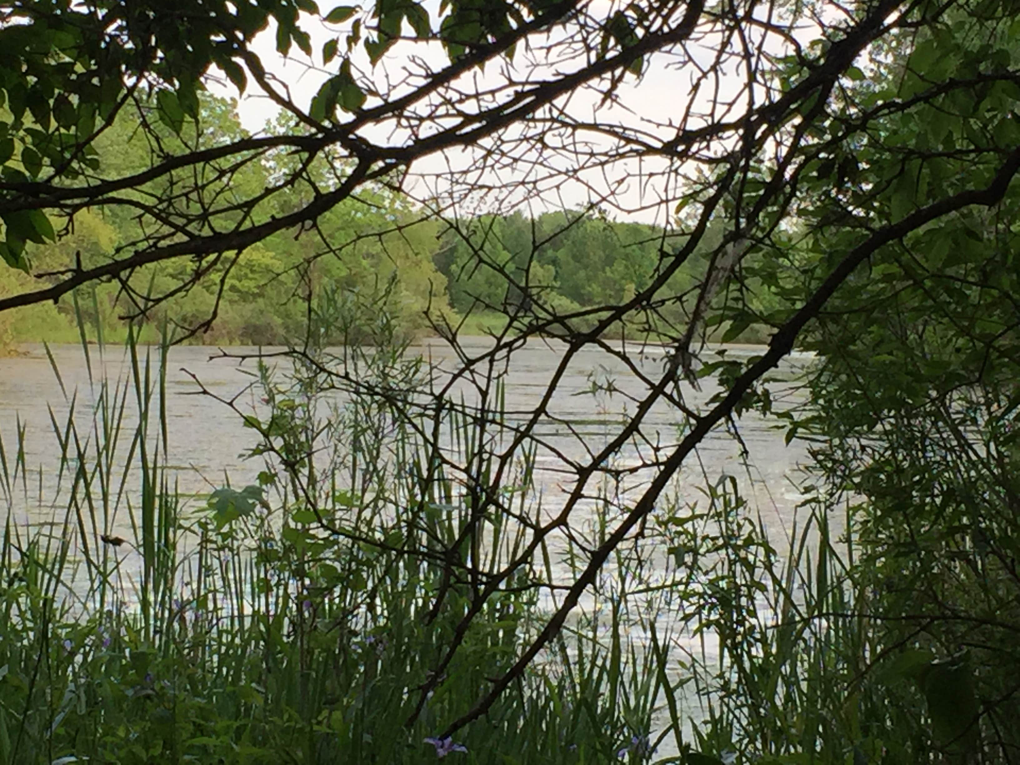 Sleepy Hollow State Park Campground | Ovid, Michigan