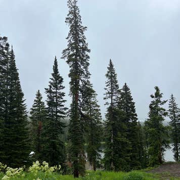 Gunnison National Forest Lake Irwin Campground | Crested Butte, CO