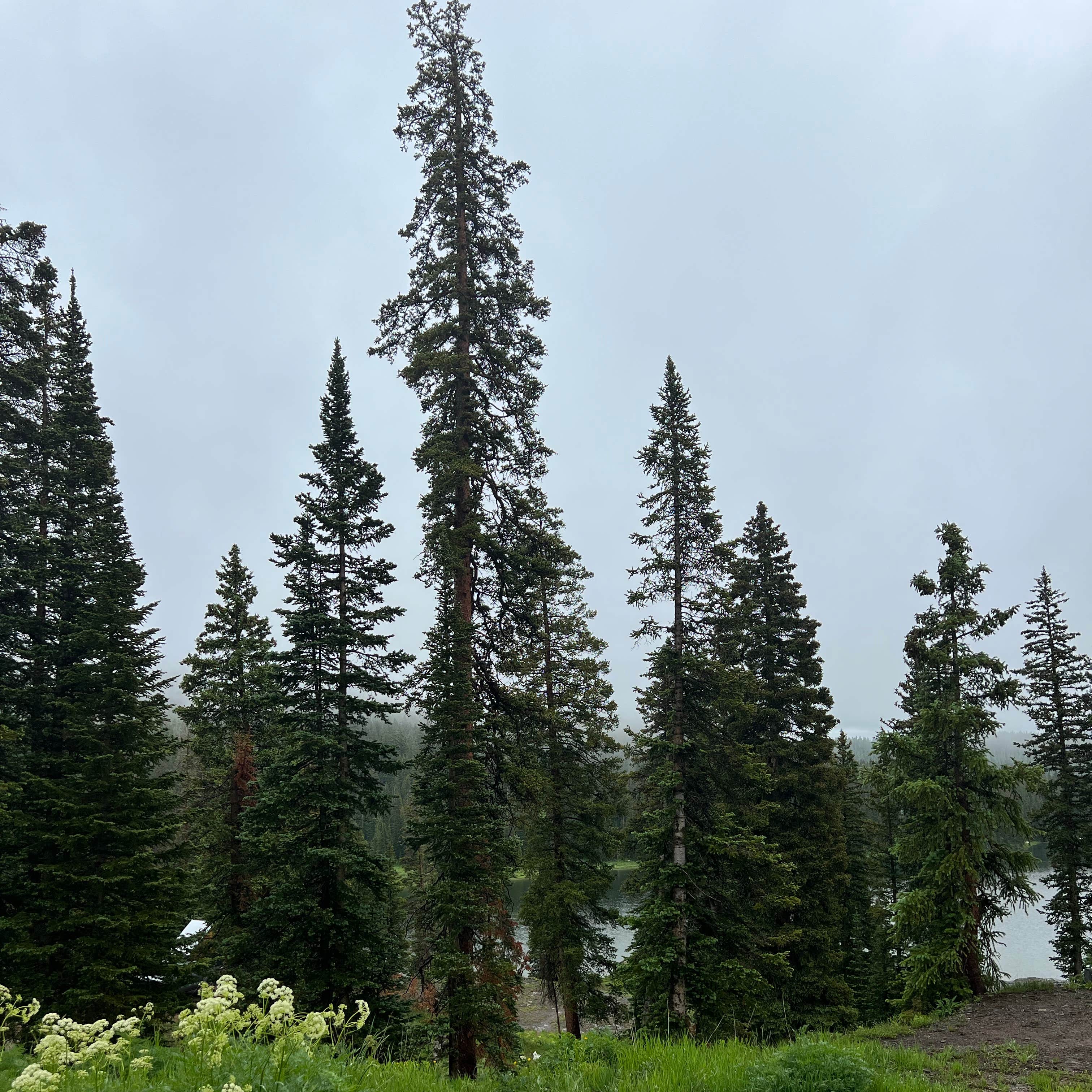 Gunnison National Forest Lake Irwin Campground | Crested Butte, Colorado