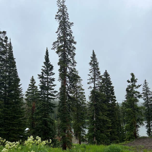 Gunnison National Forest Lake Irwin Campground | Crested Butte, Colorado